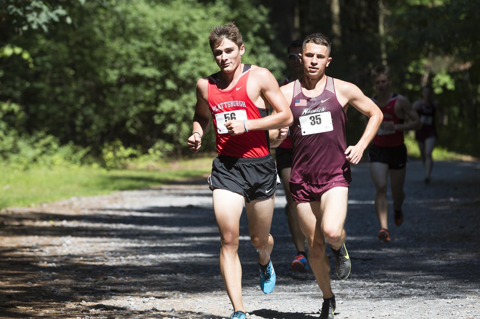 Andrew Horan - 2019 - Men's Cross Country - Plattsburgh State Athletics