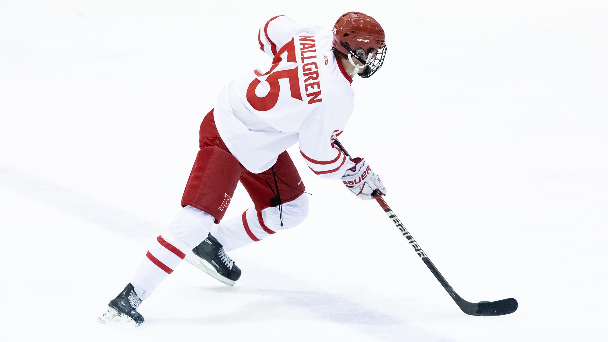 Ian Wallgren - 2018-19 - Men's Ice Hockey - Plattsburgh State Athletics