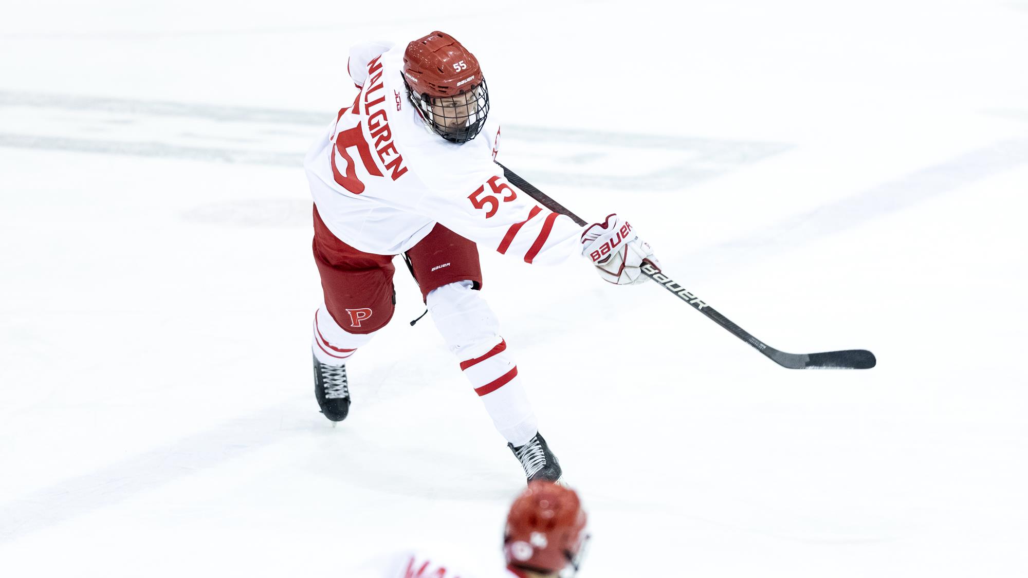Ian Wallgren - 2018-19 - Men's Ice Hockey - Plattsburgh State Athletics