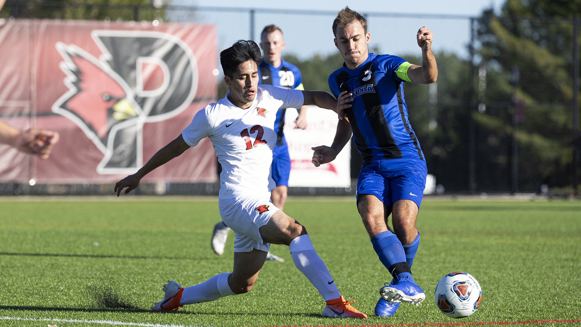 Alex Alejo - 2020 - Men's Soccer - Plattsburgh State Athletics