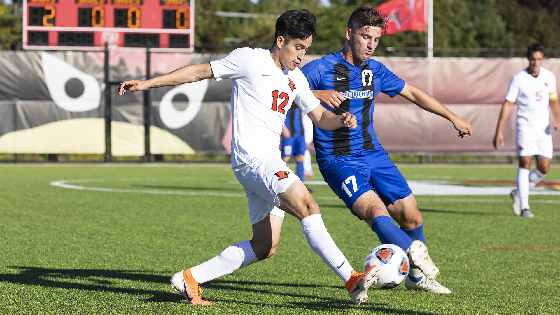 Alex Alejo - 2020 - Men's Soccer - Plattsburgh State Athletics