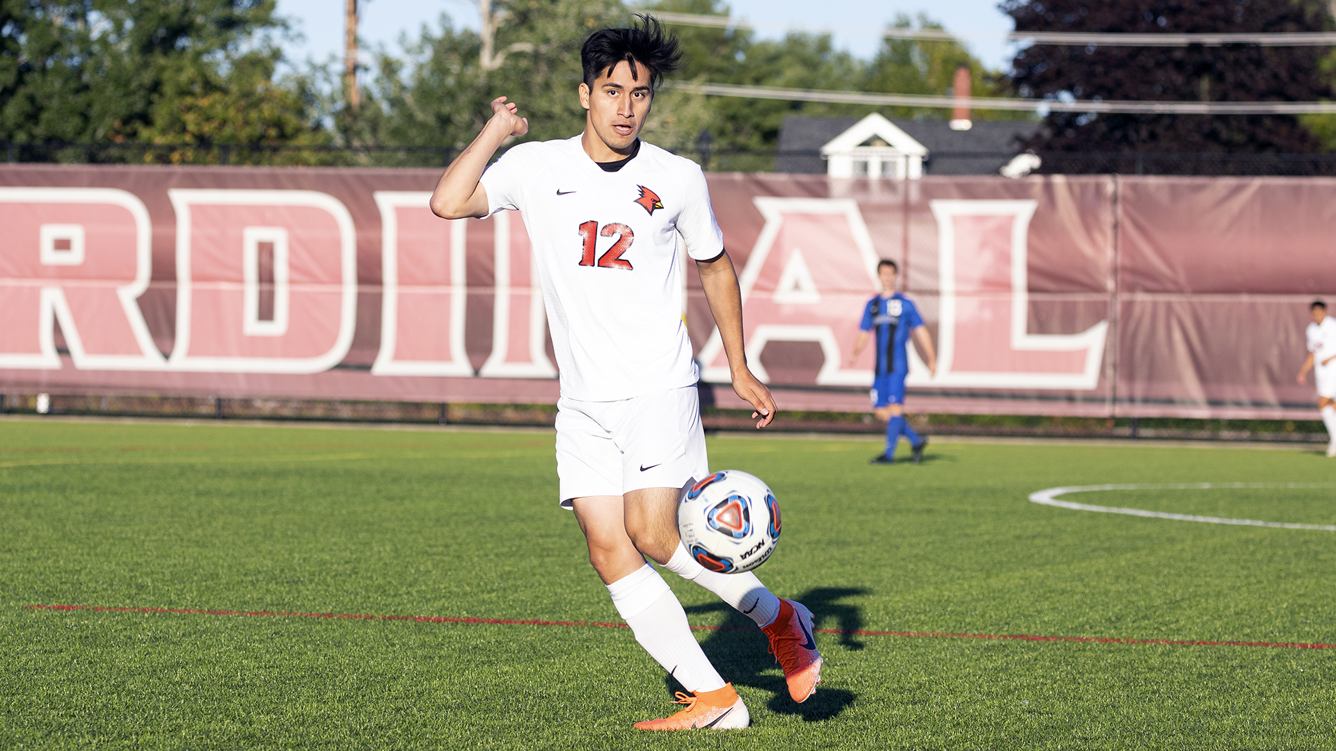 Alex Alejo - 2020 - Men's Soccer - Plattsburgh State Athletics