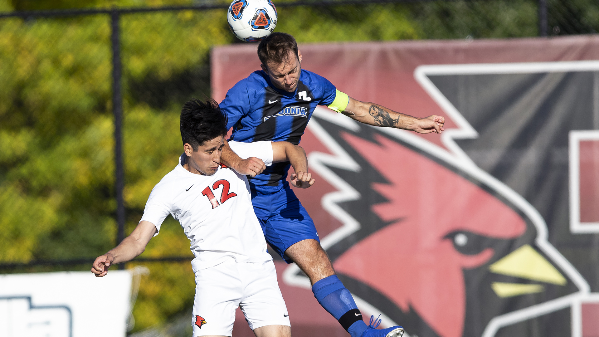 Alex Alejo - 2020 - Men's Soccer - Plattsburgh State Athletics