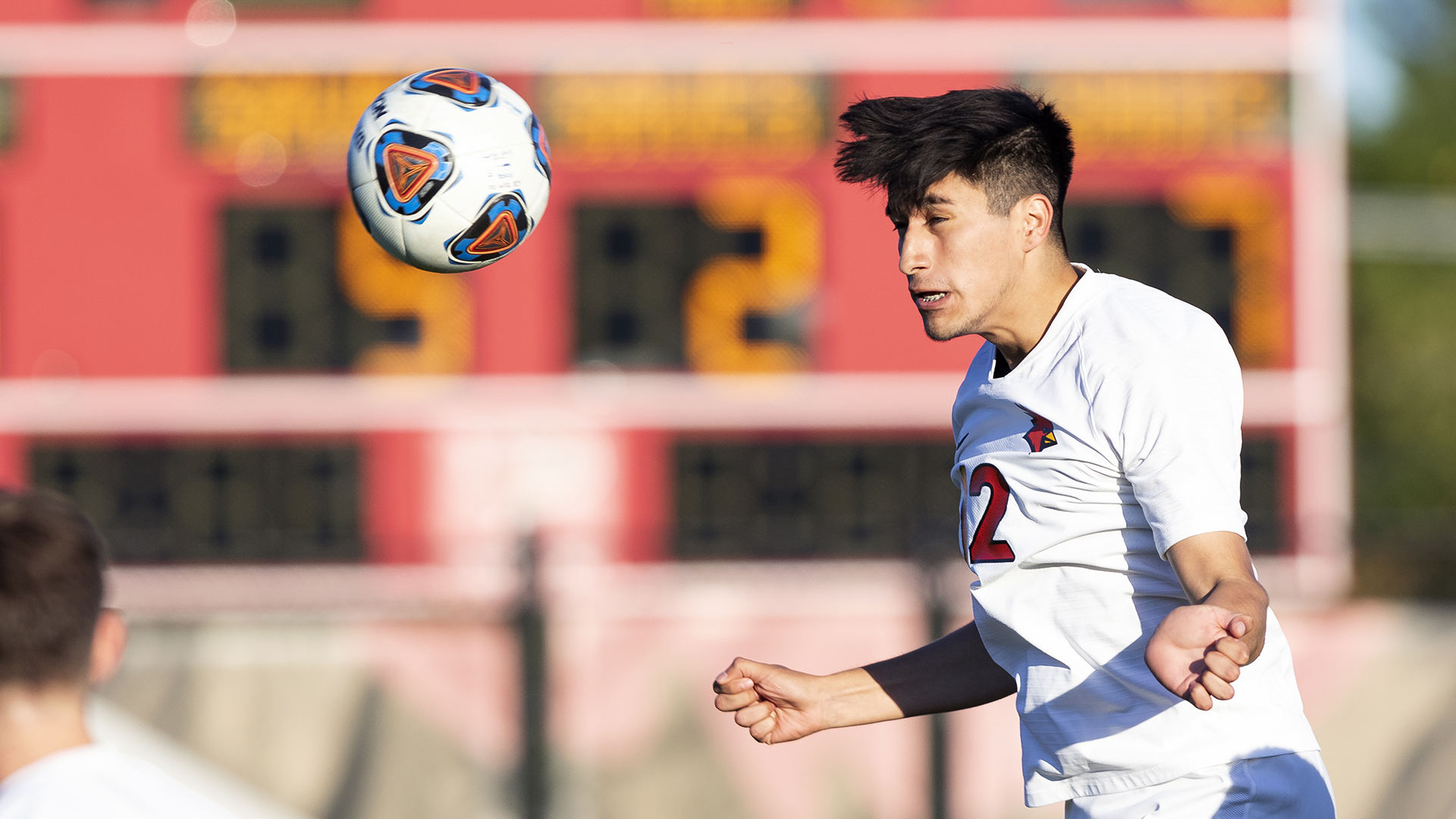 Alex Alejo - 2020 - Men's Soccer - Plattsburgh State Athletics