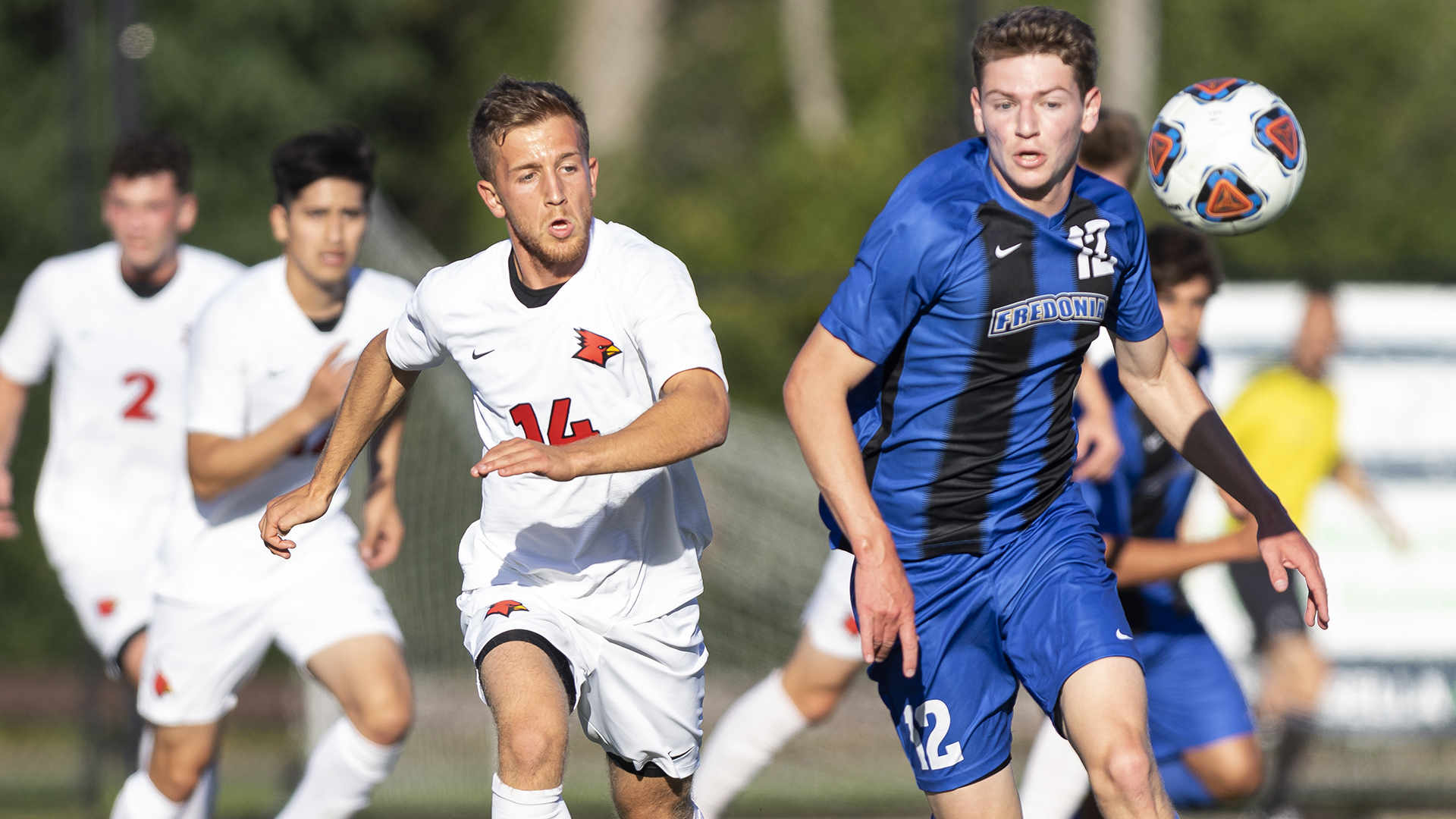 Jordan Fein - 2021 - Men's Soccer - Plattsburgh State Athletics