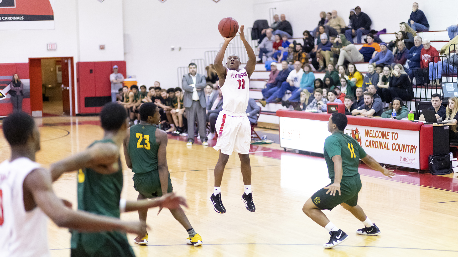 Brandon Johnson - 2018-19 - Men's Basketball - Plattsburgh State Athletics