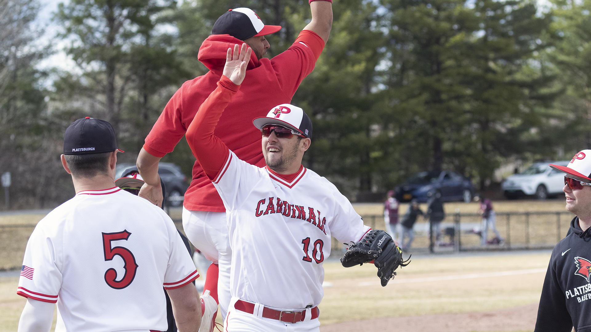 Rocco Cipriano - 2019 - Baseball - Plattsburgh State Athletics
