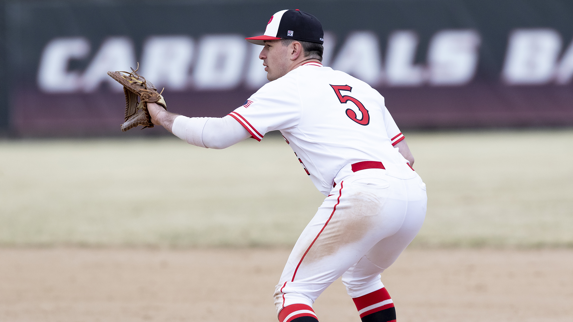 Tom Bowe - 2019 - Baseball - Plattsburgh State Athletics