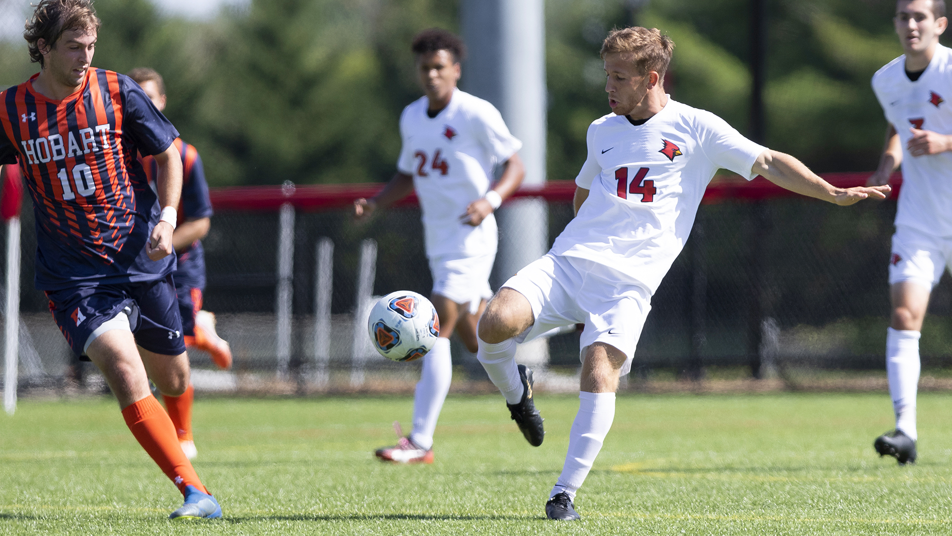 Jordan Fein - 2021 - Men's Soccer - Plattsburgh State Athletics