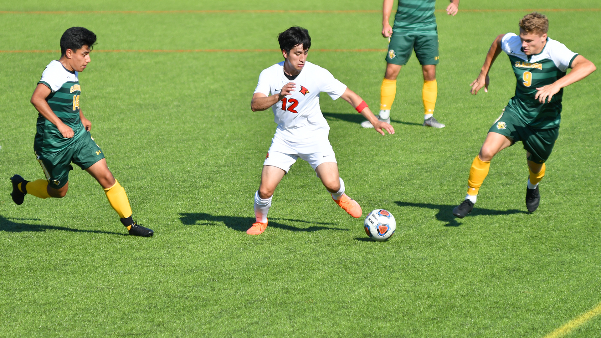 Alex Alejo - 2020 - Men's Soccer - Plattsburgh State Athletics