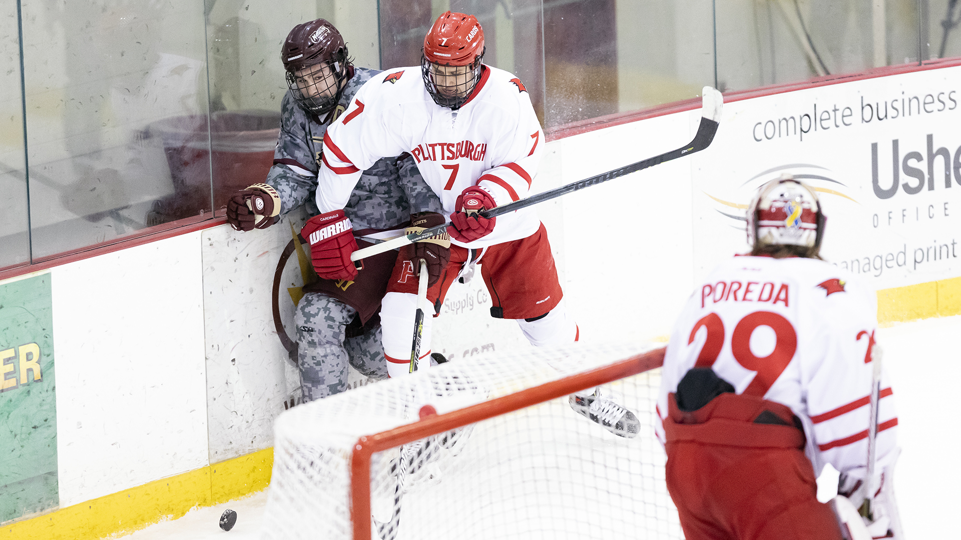 Andrew Pizzo - 2019-20 - Men's Ice Hockey - Plattsburgh State Athletics