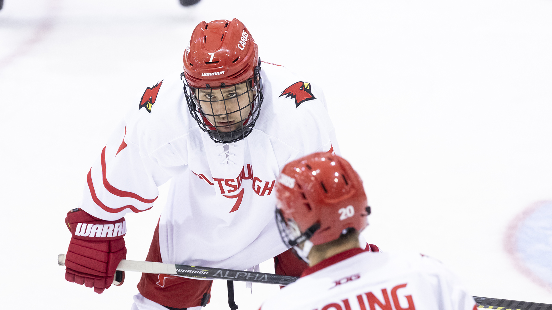 Andrew Pizzo - 2019-20 - Men's Ice Hockey - Plattsburgh State Athletics