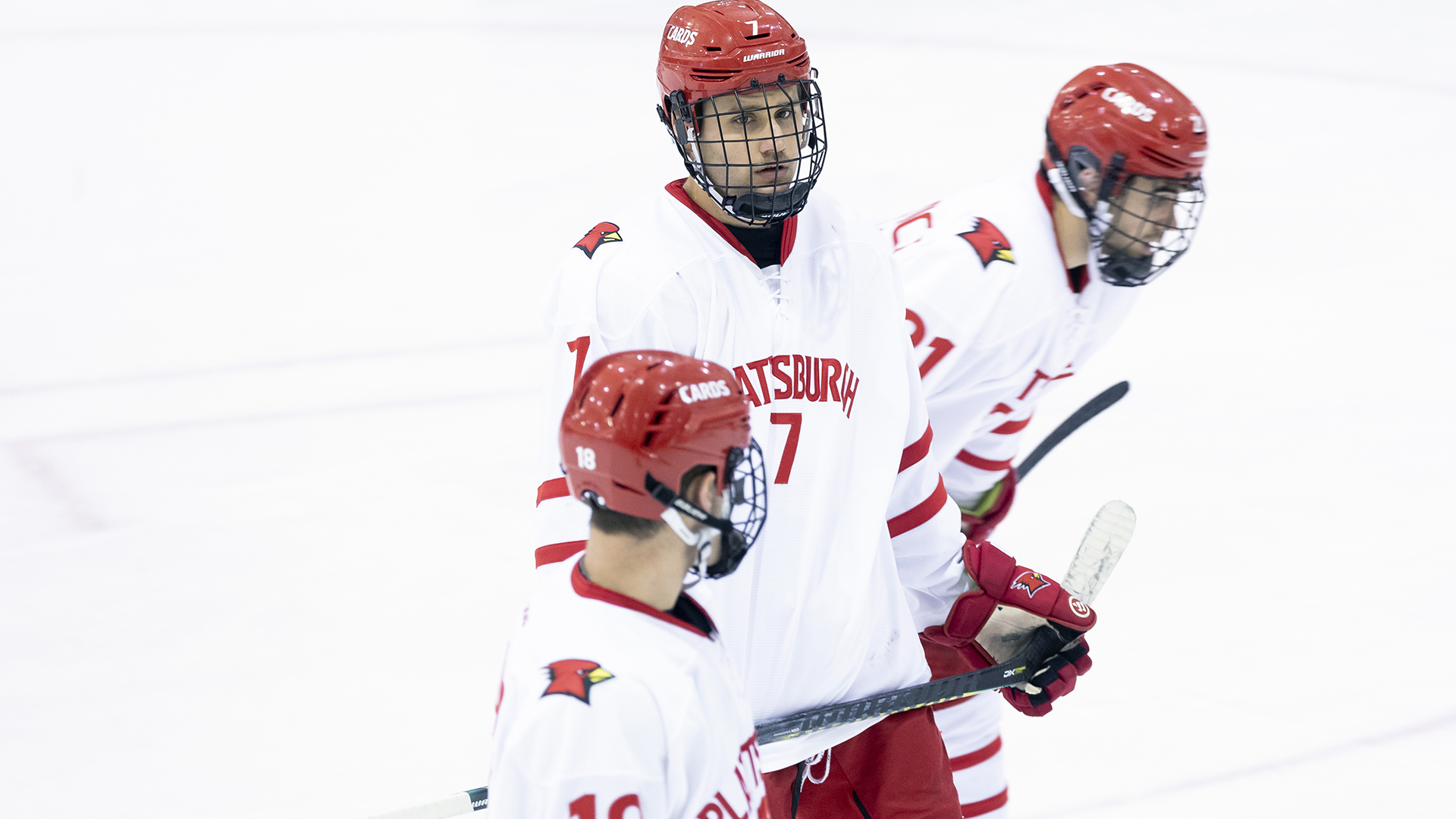 Andrew Pizzo - 2019-20 - Men's Ice Hockey - Plattsburgh State Athletics
