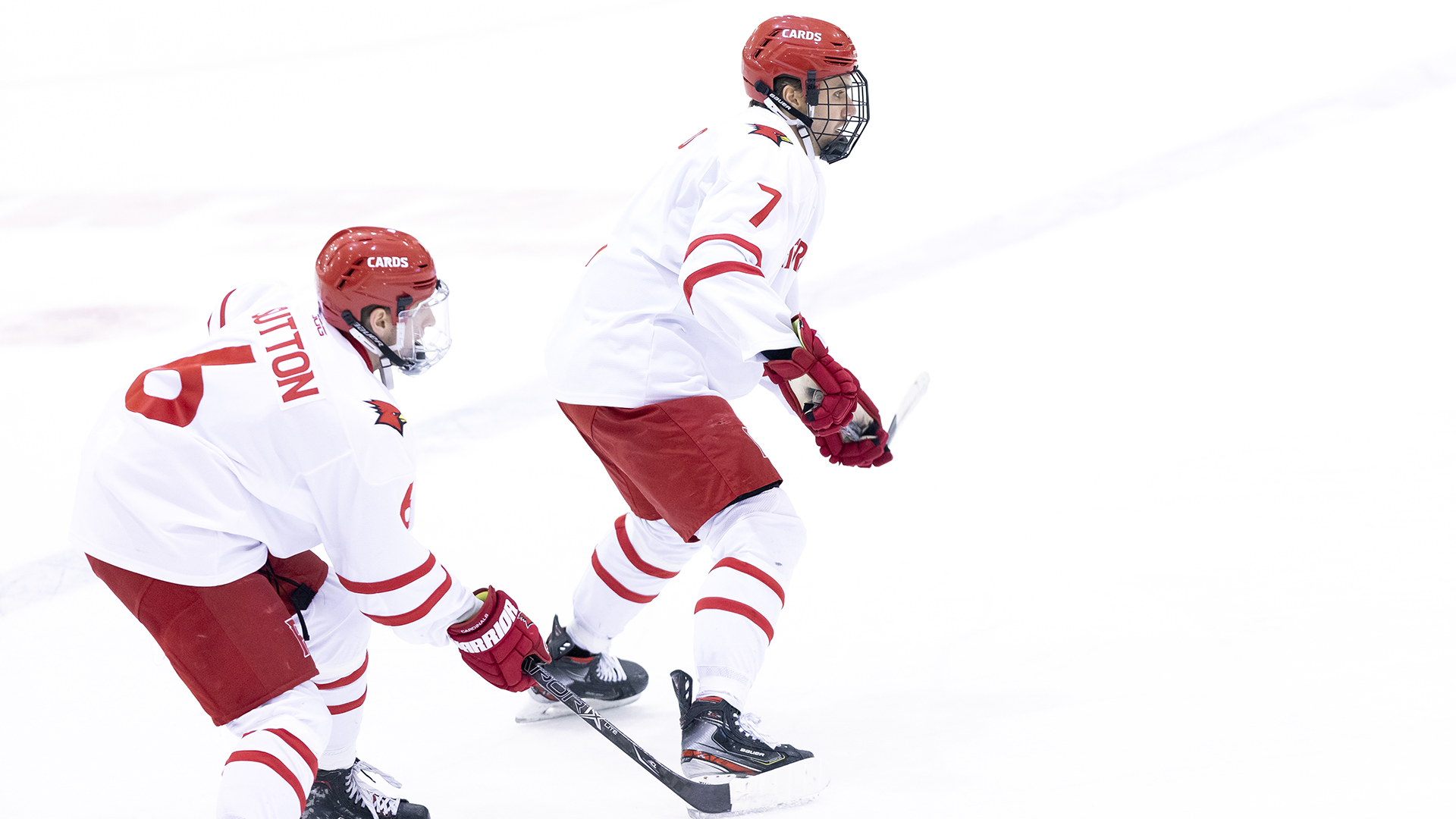 Andrew Pizzo - 2019-20 - Men's Ice Hockey - Plattsburgh State Athletics