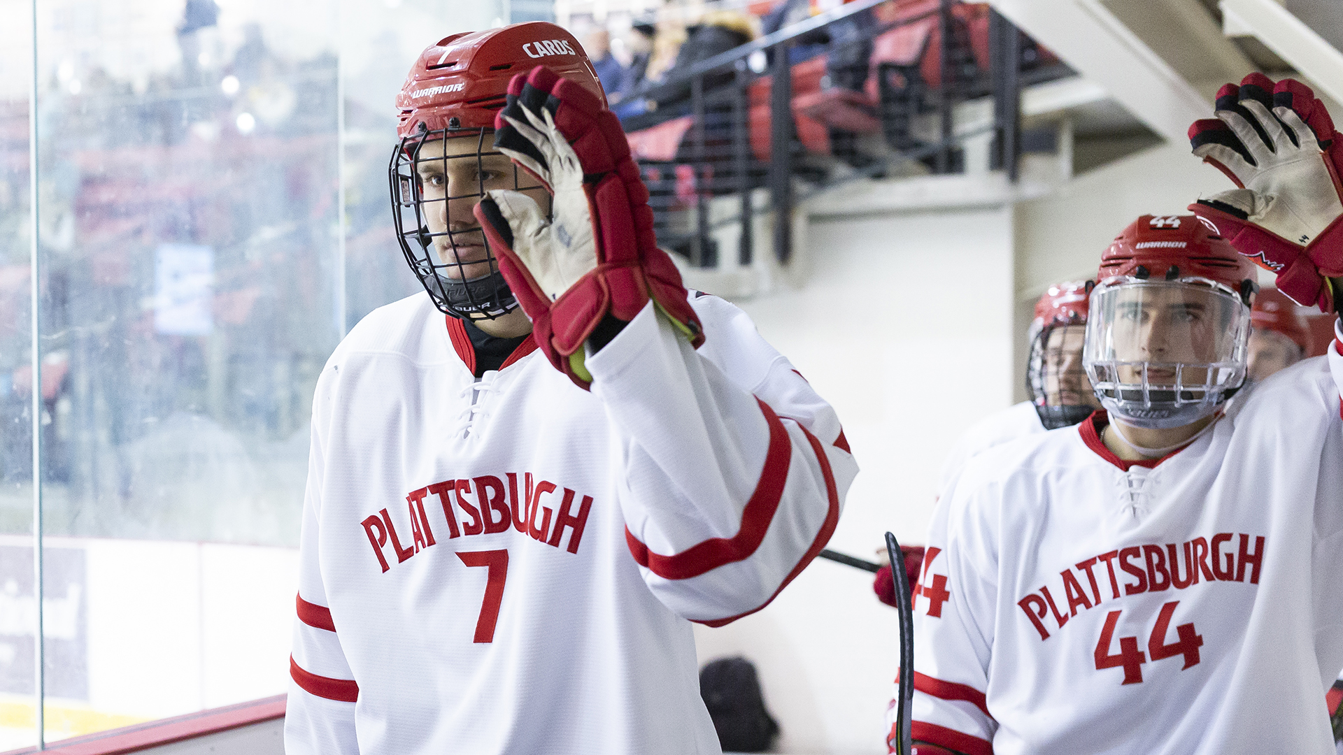 Andrew Pizzo - 2019-20 - Men's Ice Hockey - Plattsburgh State Athletics