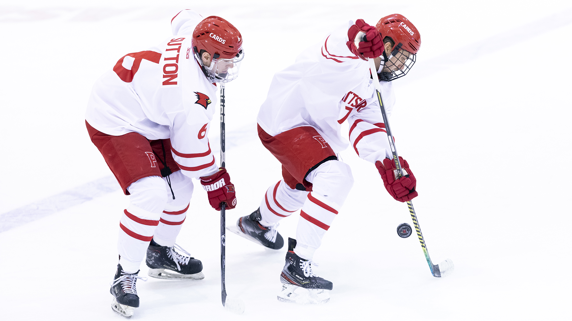 Jake Sutton - 2021-22 - Men's Ice Hockey - Plattsburgh State Athletics