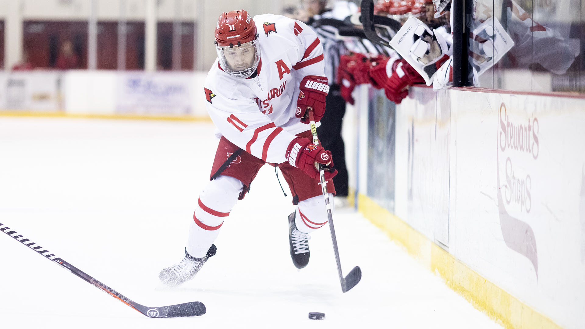Joe Drabin - 2019-20 - Men's Ice Hockey - Plattsburgh State Athletics