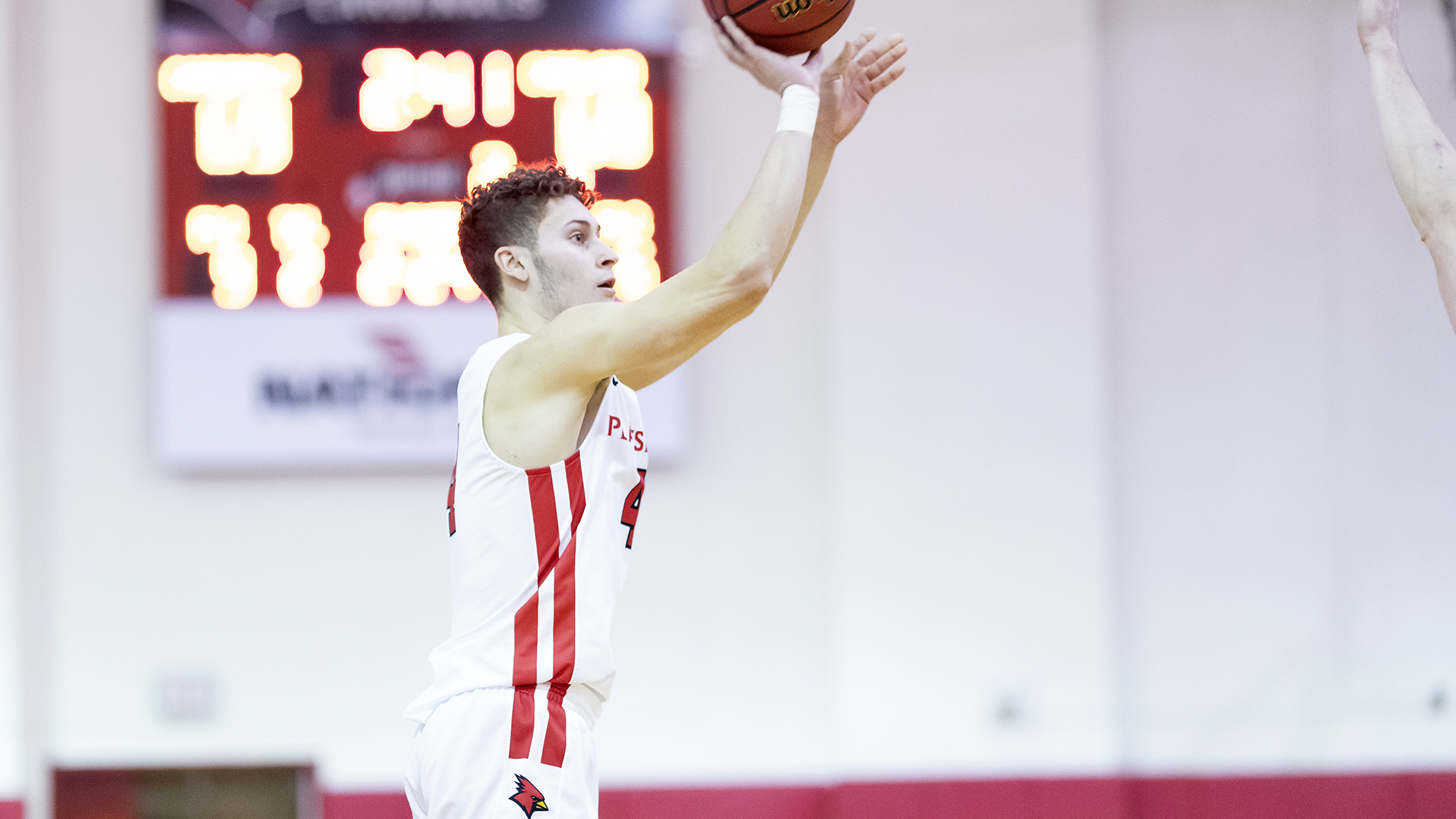 Nick DeAngelis - 2019-20 - Men's Basketball - Plattsburgh State Athletics