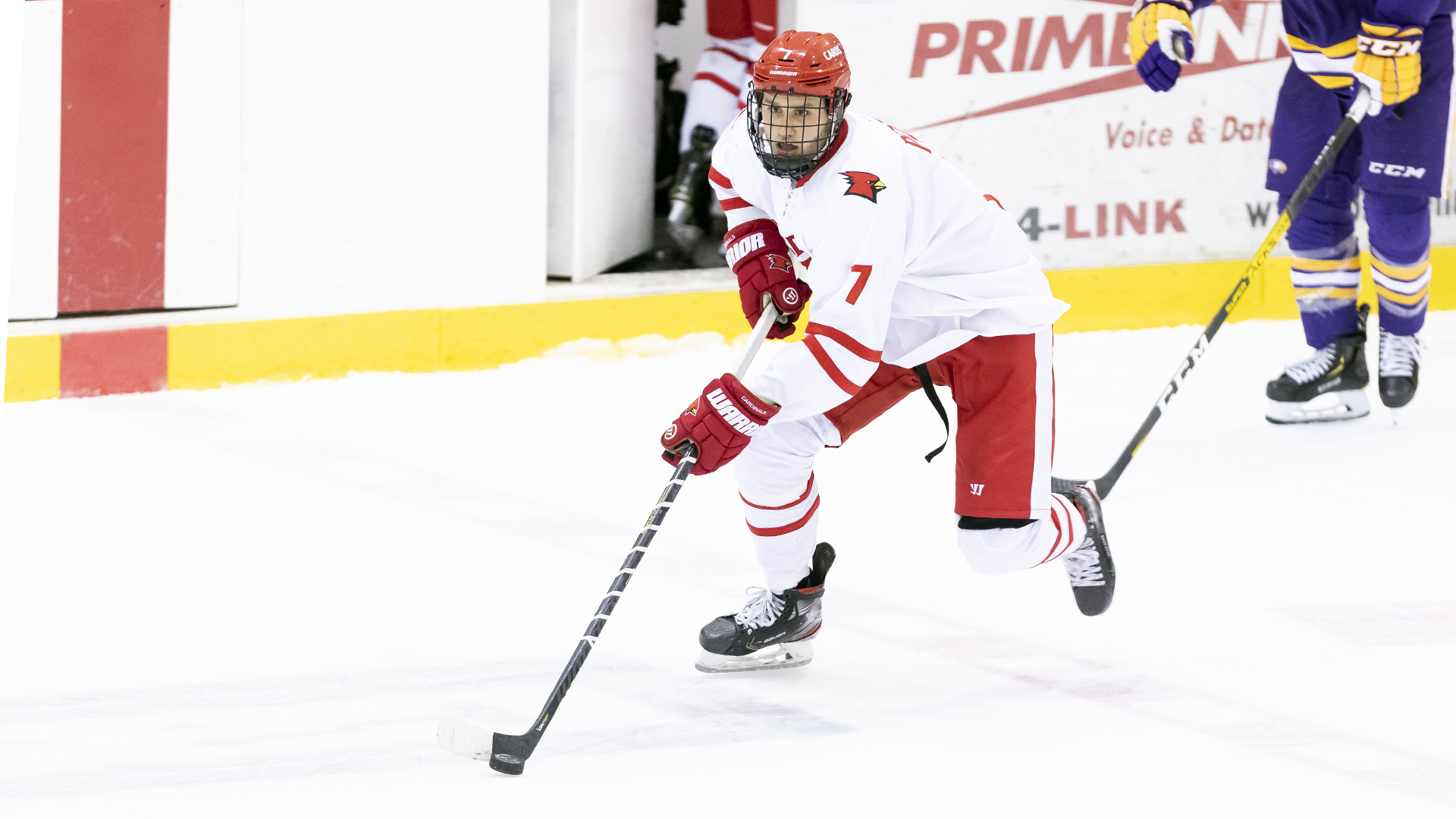 Andrew Pizzo - 2019-20 - Men's Ice Hockey - Plattsburgh State Athletics