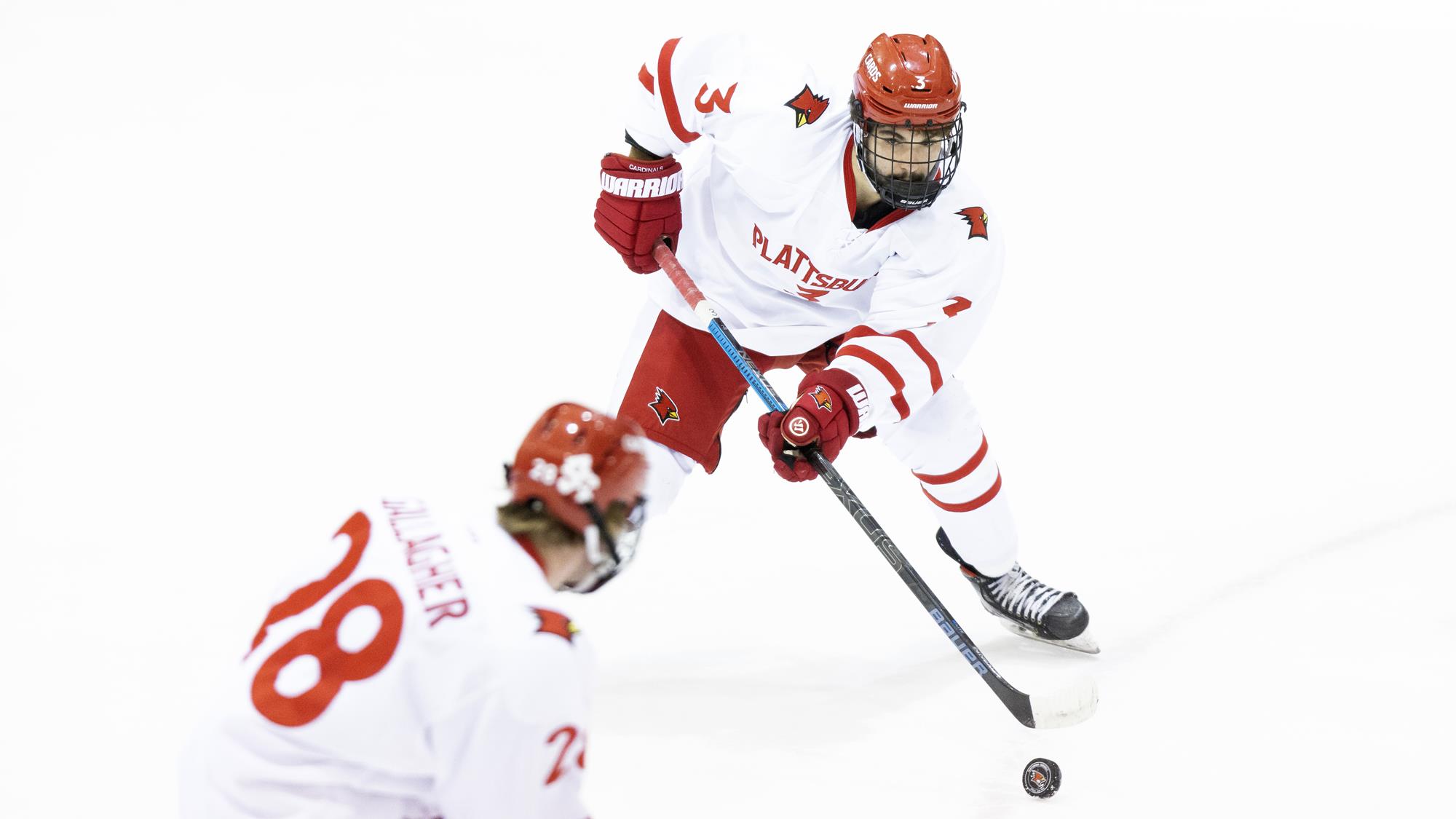 Thomas Maia - 2023-24 - Men's Ice Hockey - Plattsburgh State Athletics