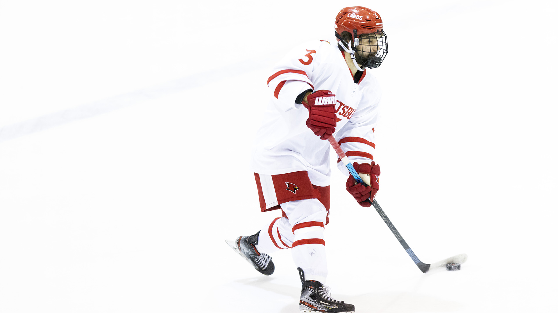 Thomas Maia - 2023-24 - Men's Ice Hockey - Plattsburgh State Athletics
