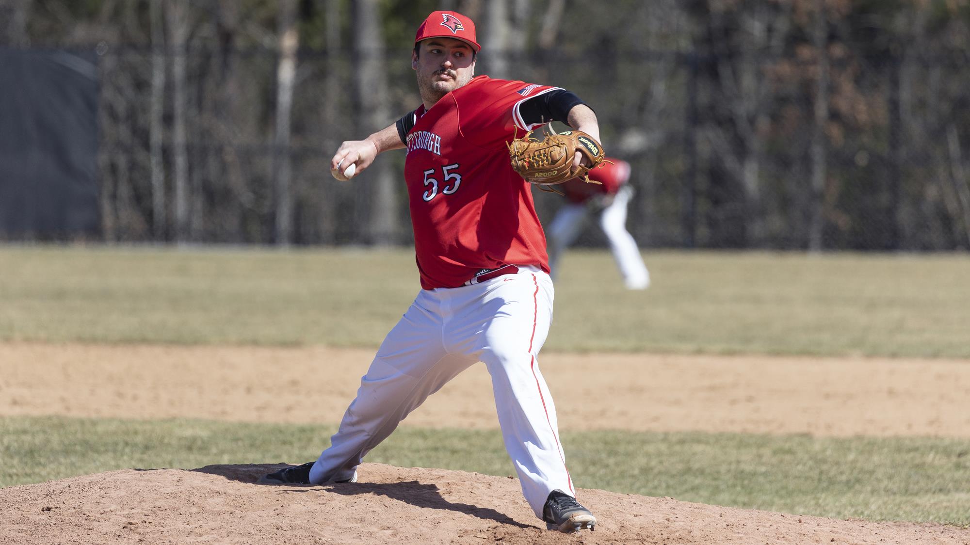Peter Gregory - 2022 - Baseball - Plattsburgh State Athletics