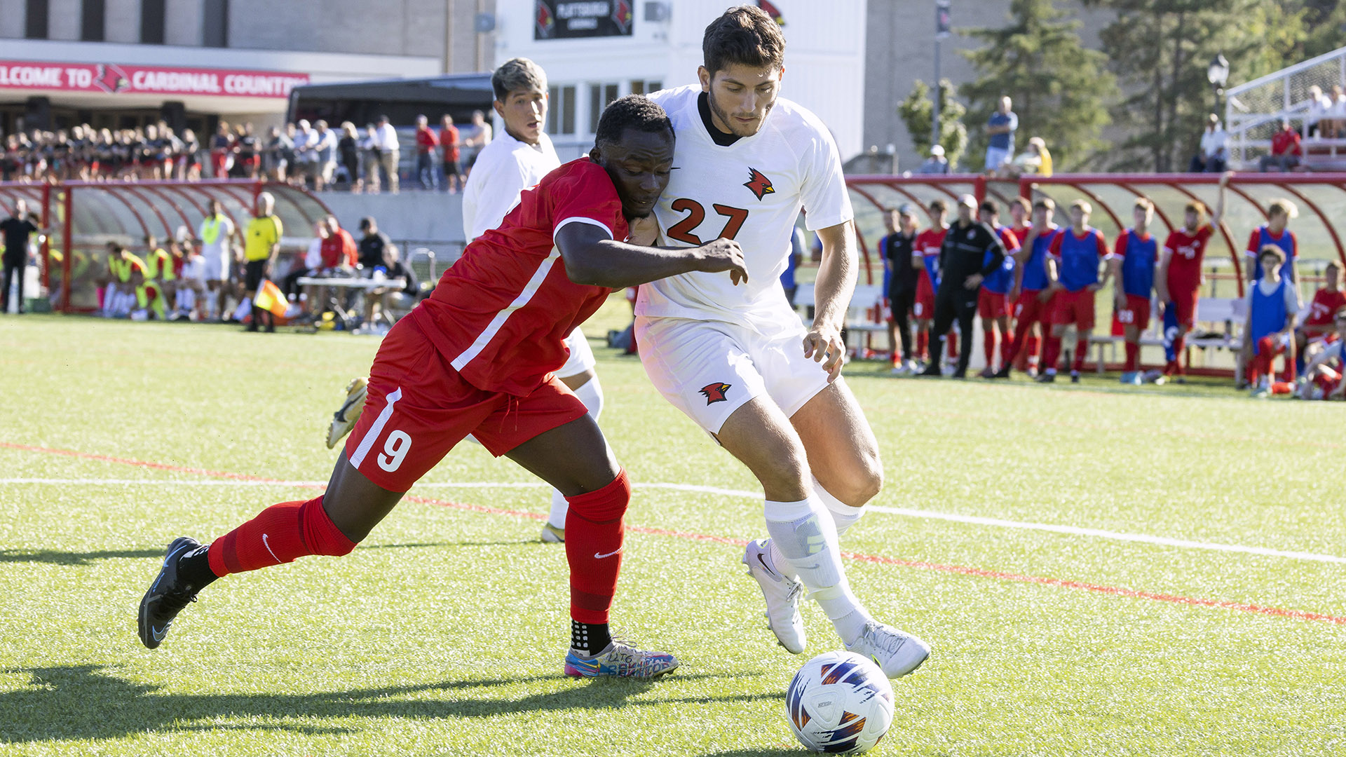 Rocky Bujaj - 2022 - Men's Soccer - Plattsburgh State Athletics