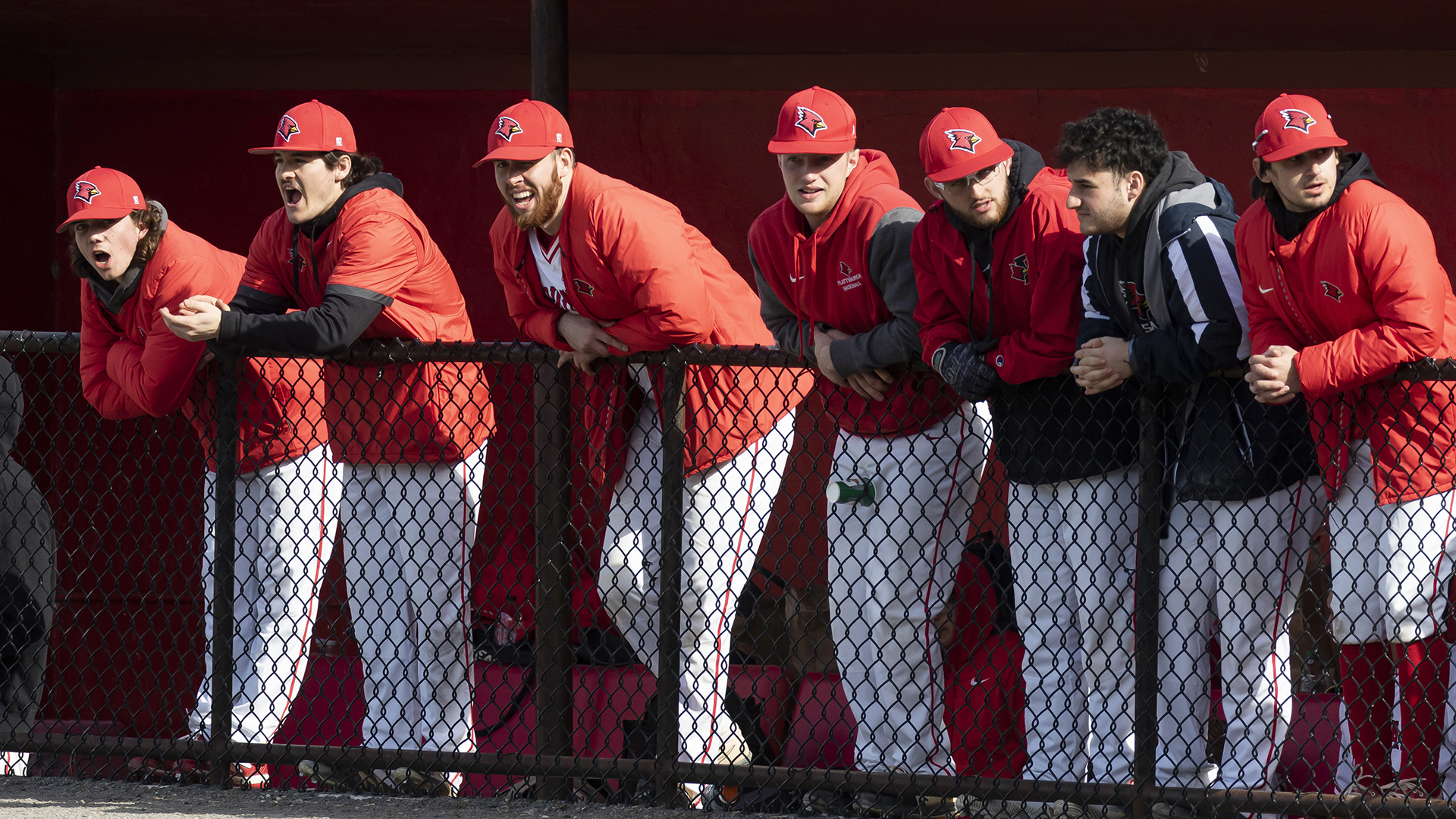 Baseball Drops Two Games to Oneonta in SUNYAC Doubleheader ...
