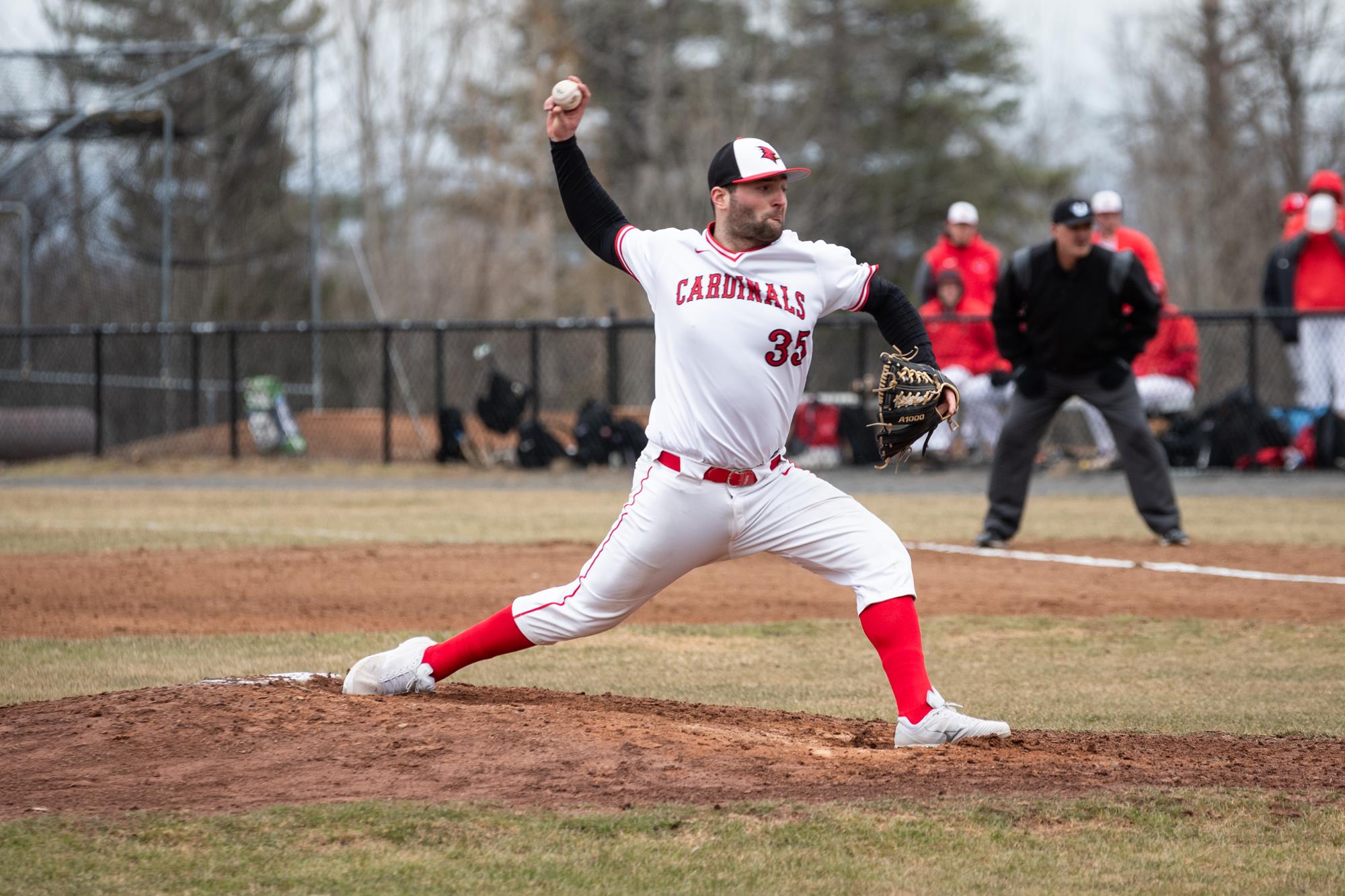 Sean Malamud - 2023 - Baseball - Plattsburgh State Athletics