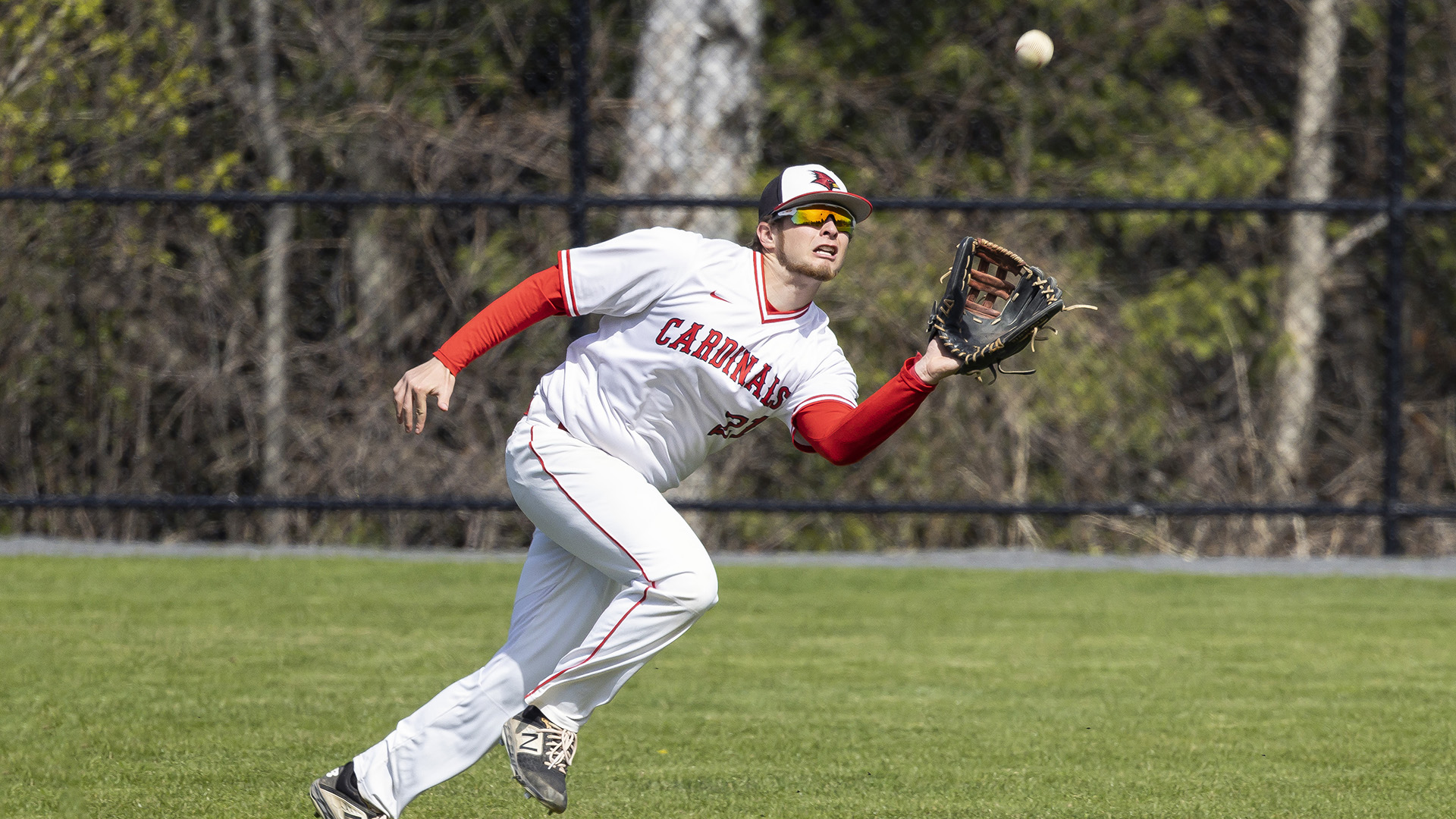 Conner Gonzalski - 2024 - Baseball - Plattsburgh State Athletics