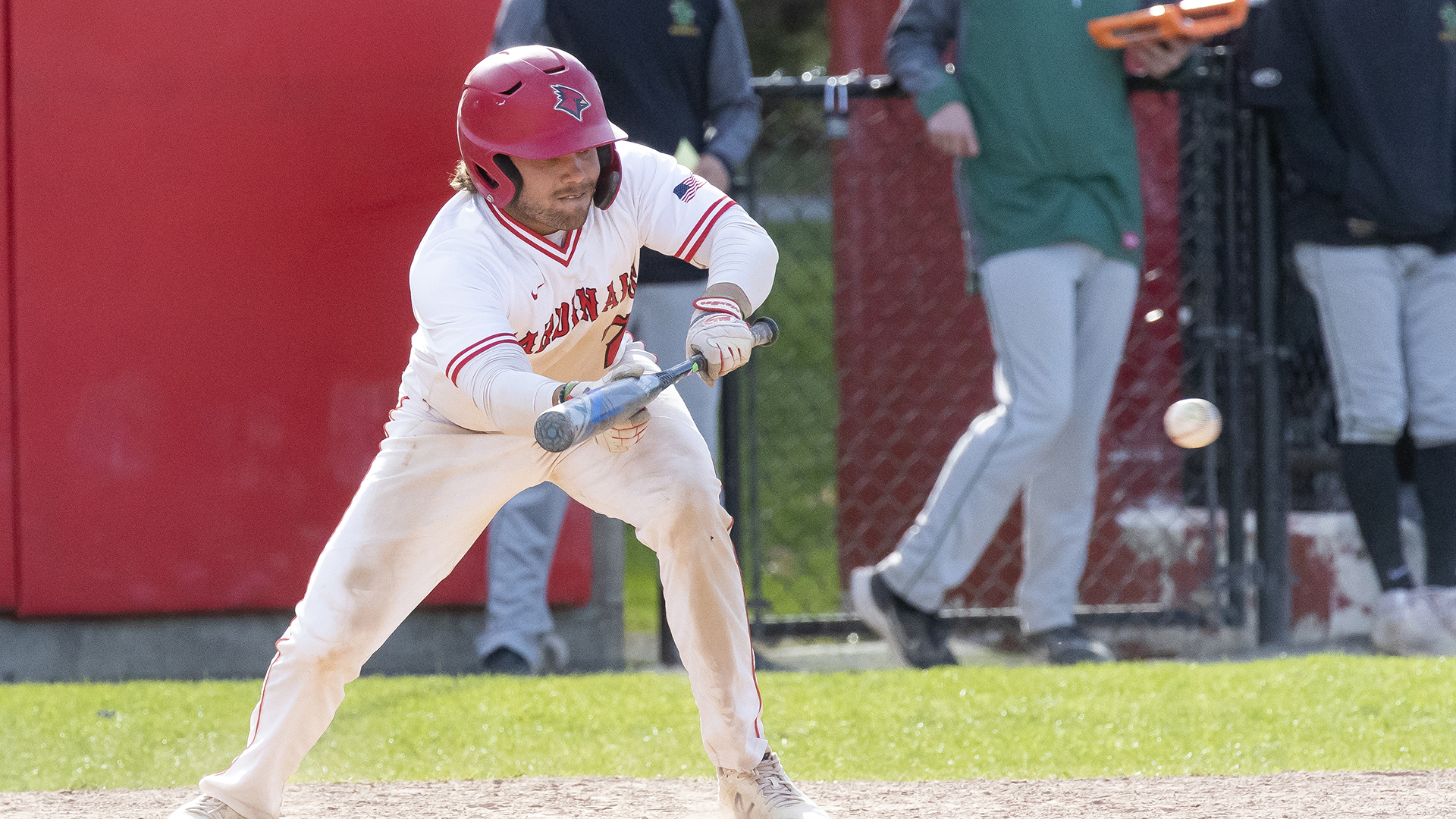 Mike Rasquin - 2024 - Baseball - Plattsburgh State Athletics