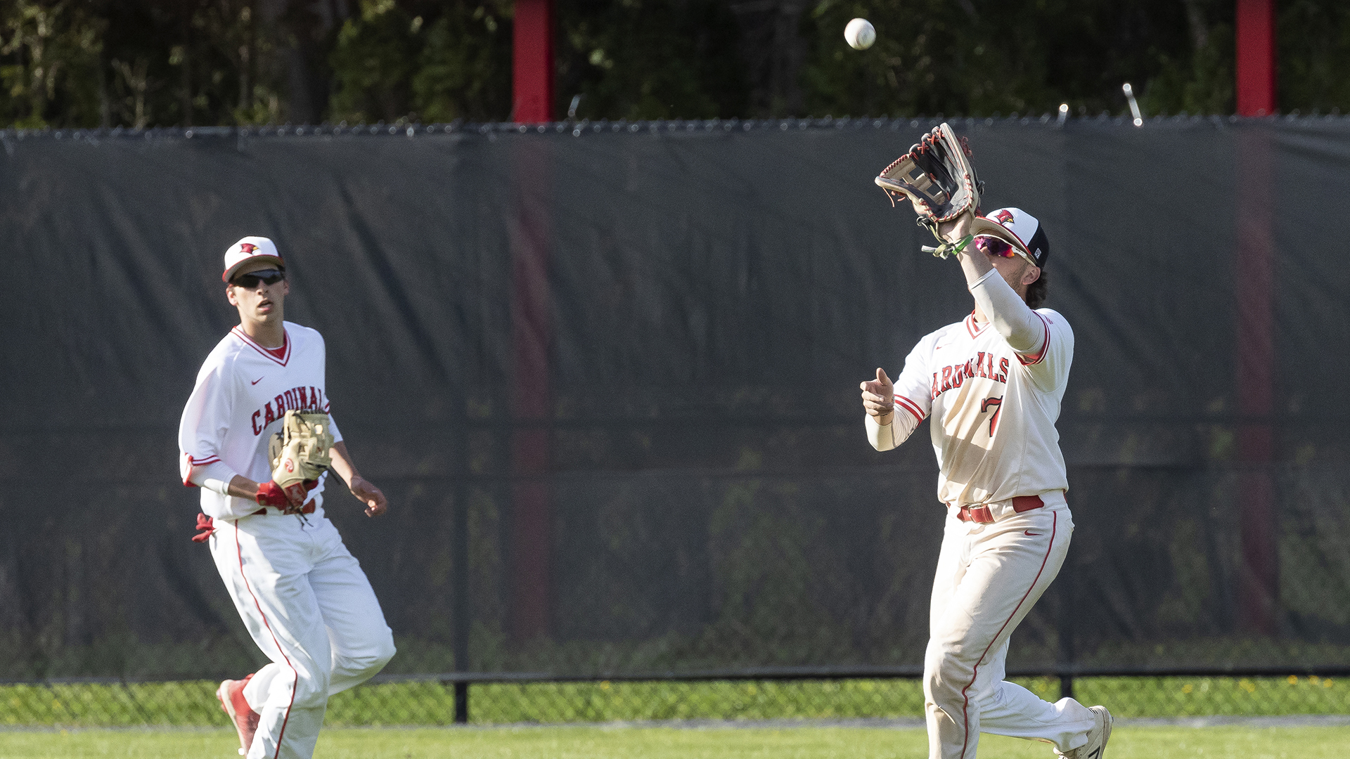 Mike Rasquin - 2024 - Baseball - Plattsburgh State Athletics