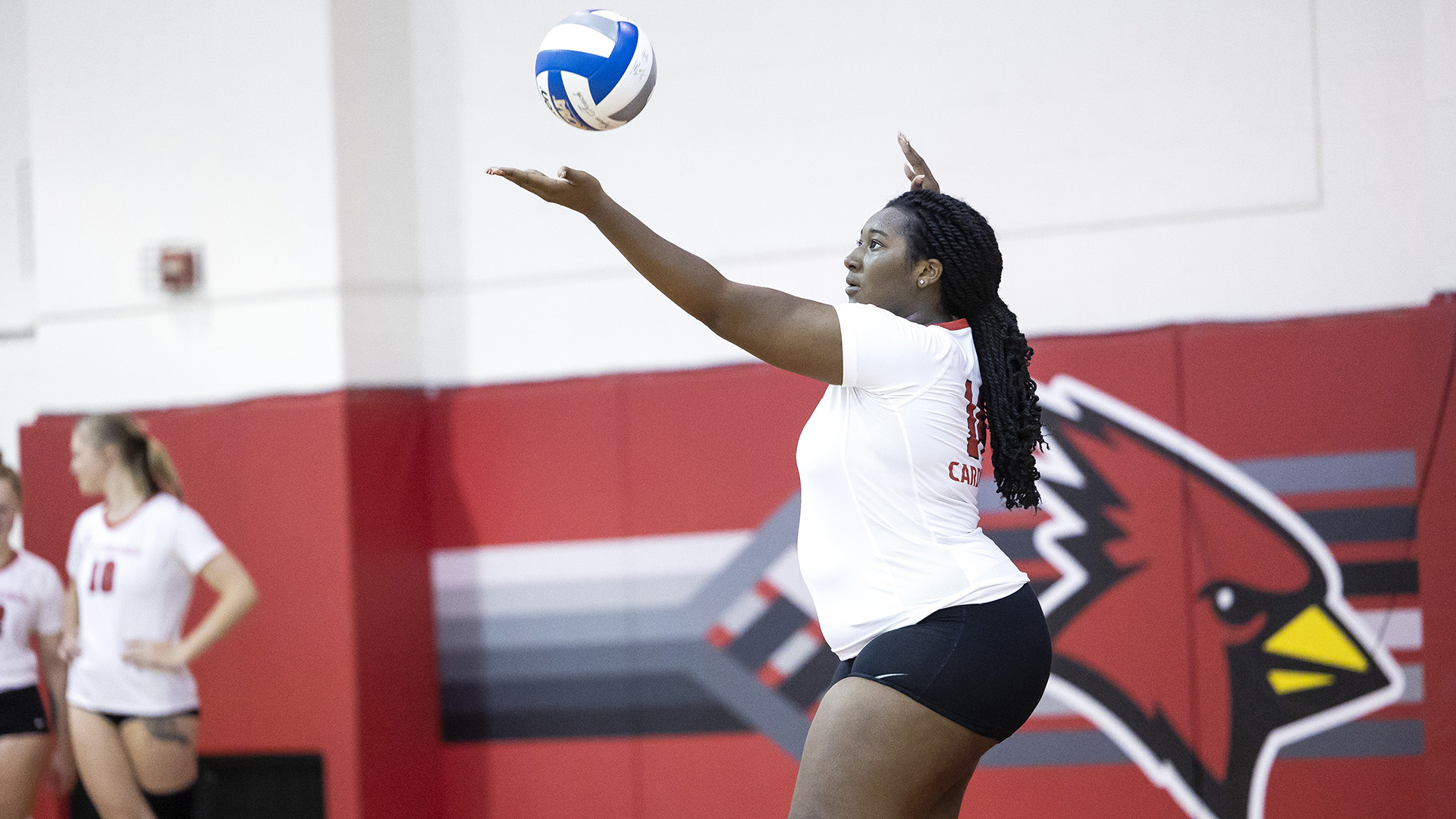 Women's Volleyball Opens Up 2023 With 3-1 Cardinal Classic Win Over ...