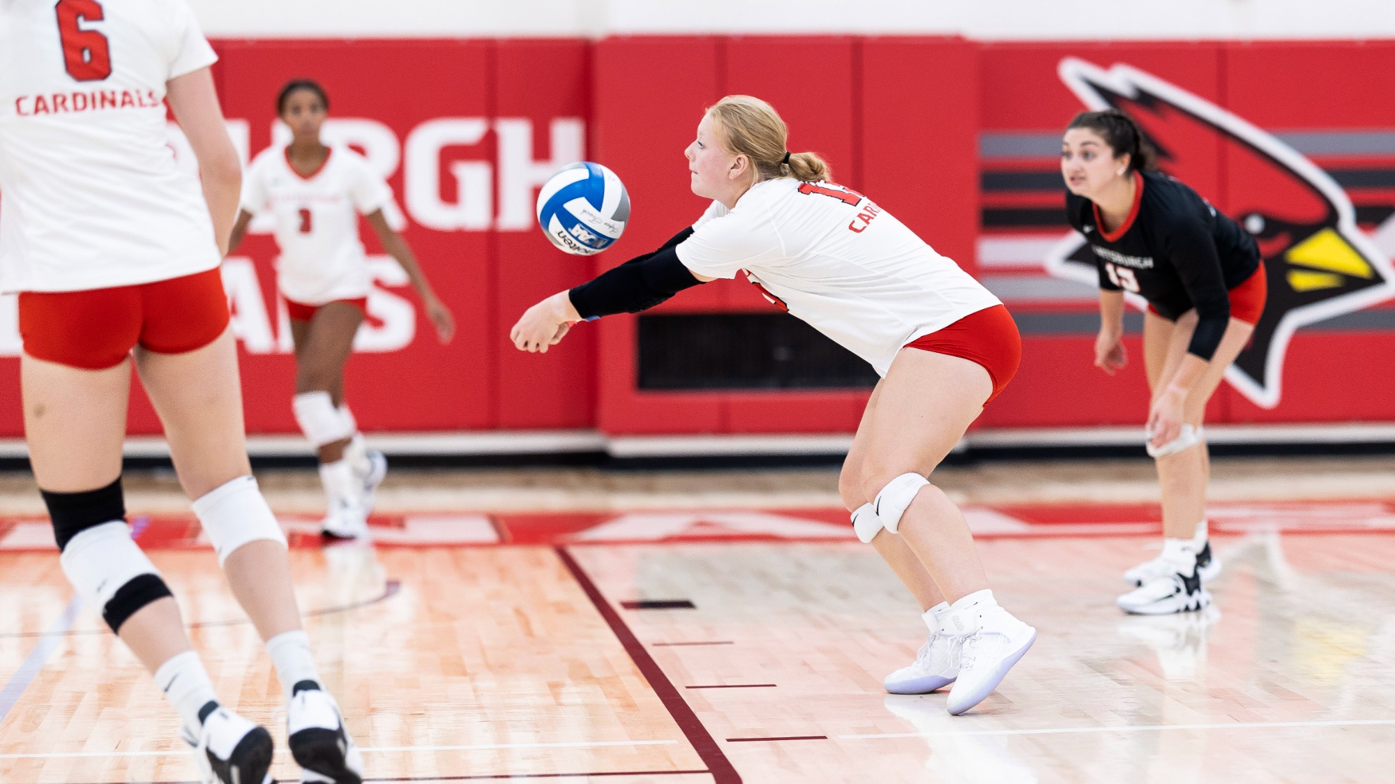 Katie Rachwal - 2023 - Women's Volleyball - Plattsburgh State Athletics