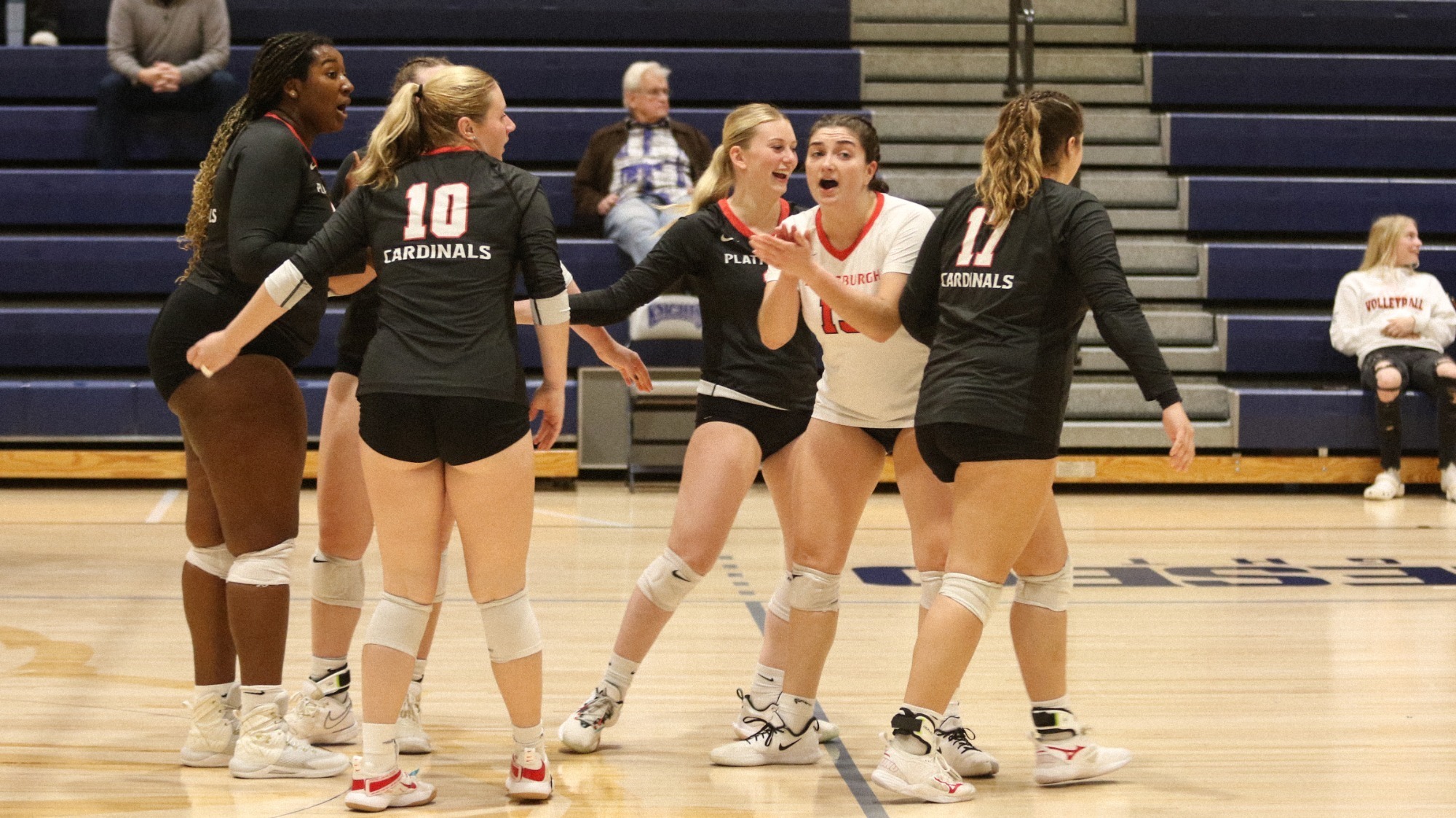 Women's Volleyball Falls to Geneseo in SUNYAC Tournament First Round ...