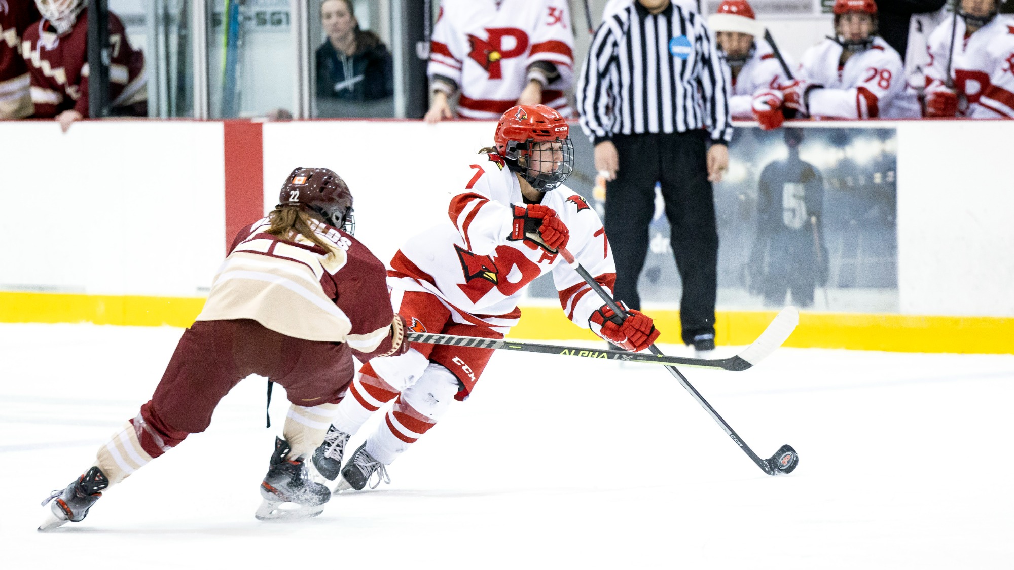 Julia Masotta - 2023-24 - Women's Ice Hockey - Plattsburgh State Athletics