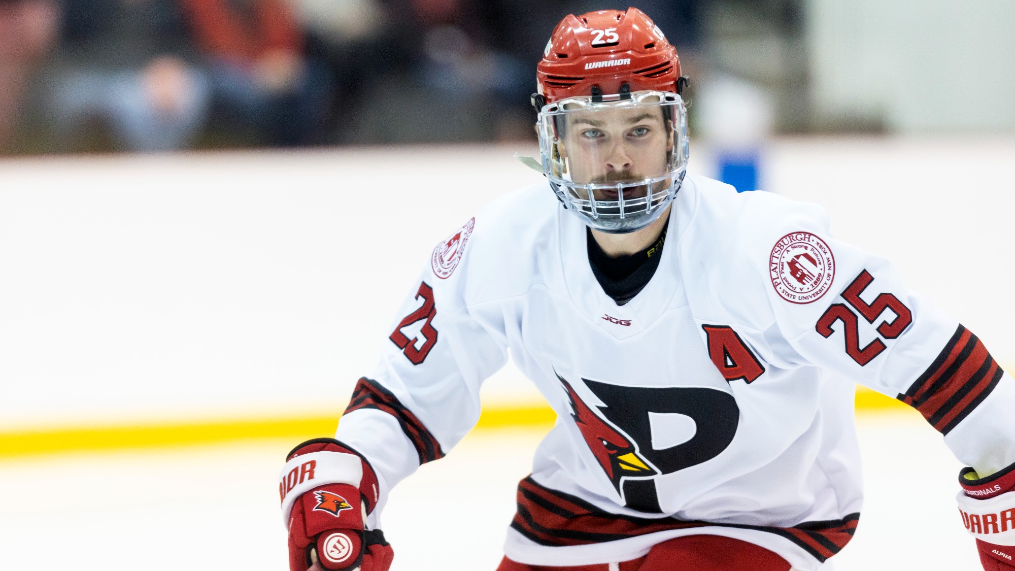 Paul Bryer - 2023-24 - Men's Ice Hockey - Plattsburgh State Athletics