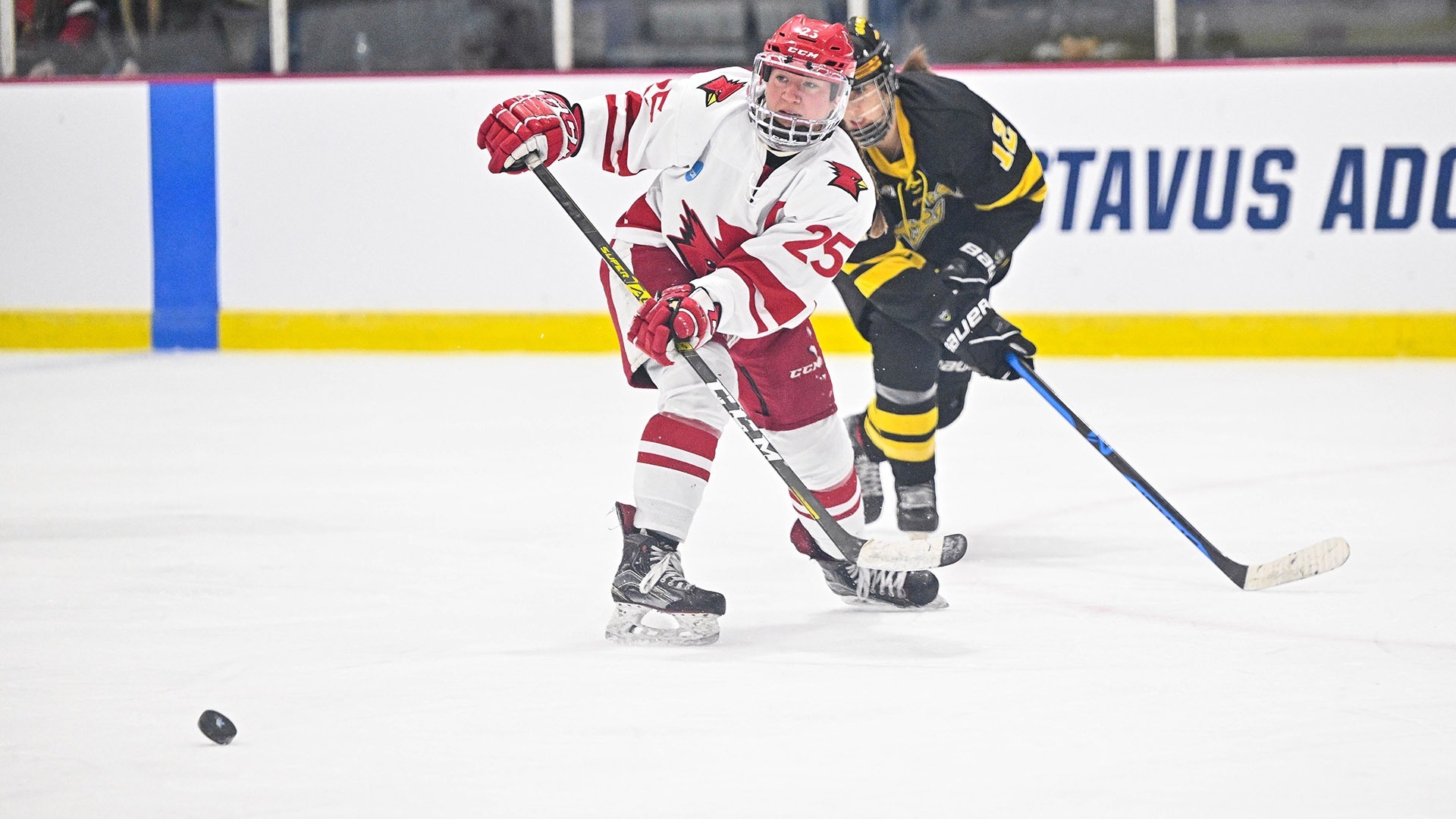Sara Krauseneck - 2022-23 - Women's Ice Hockey - Plattsburgh State ...