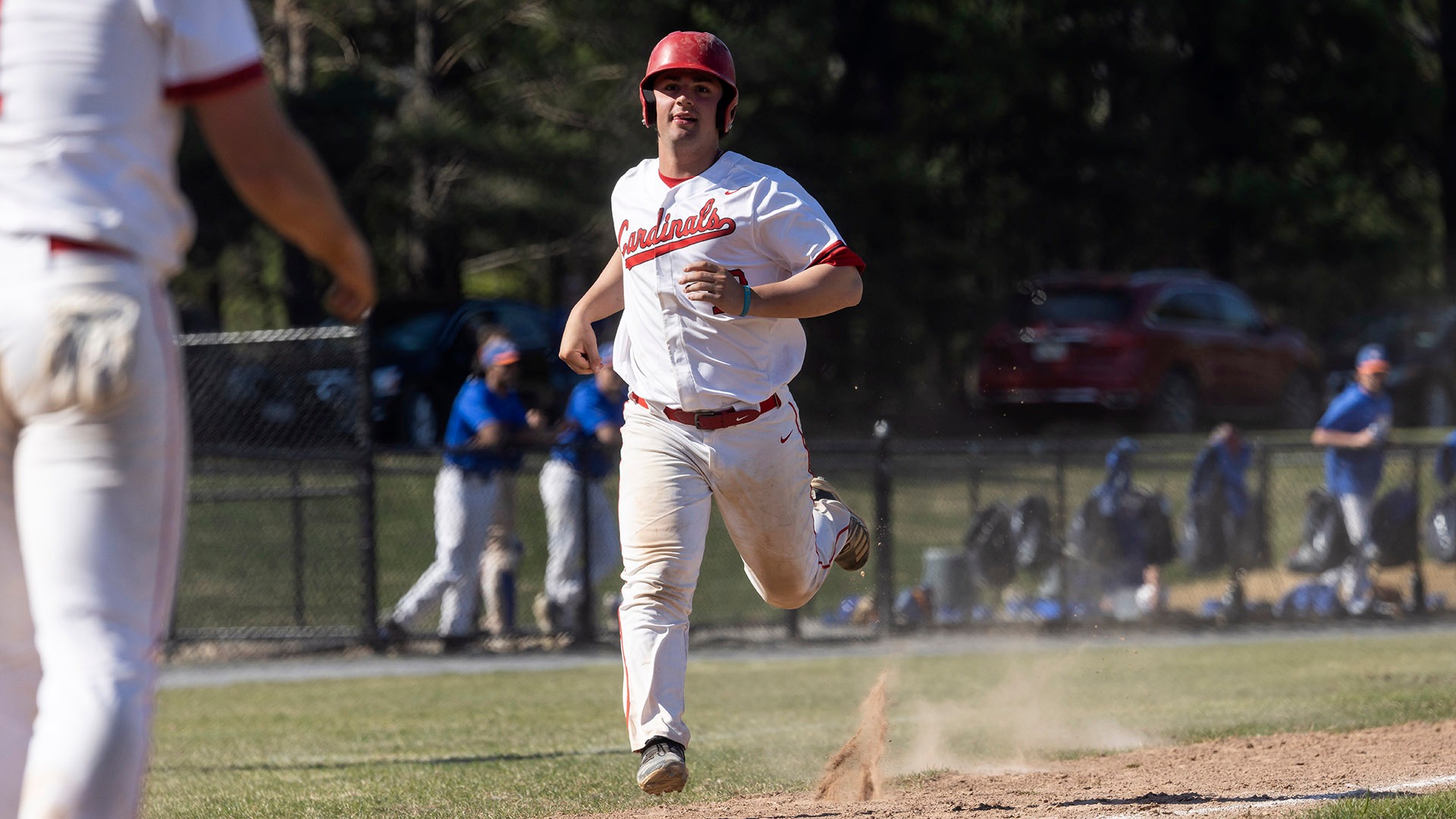 Nick Cergol - 2024 - Baseball - Plattsburgh State Athletics
