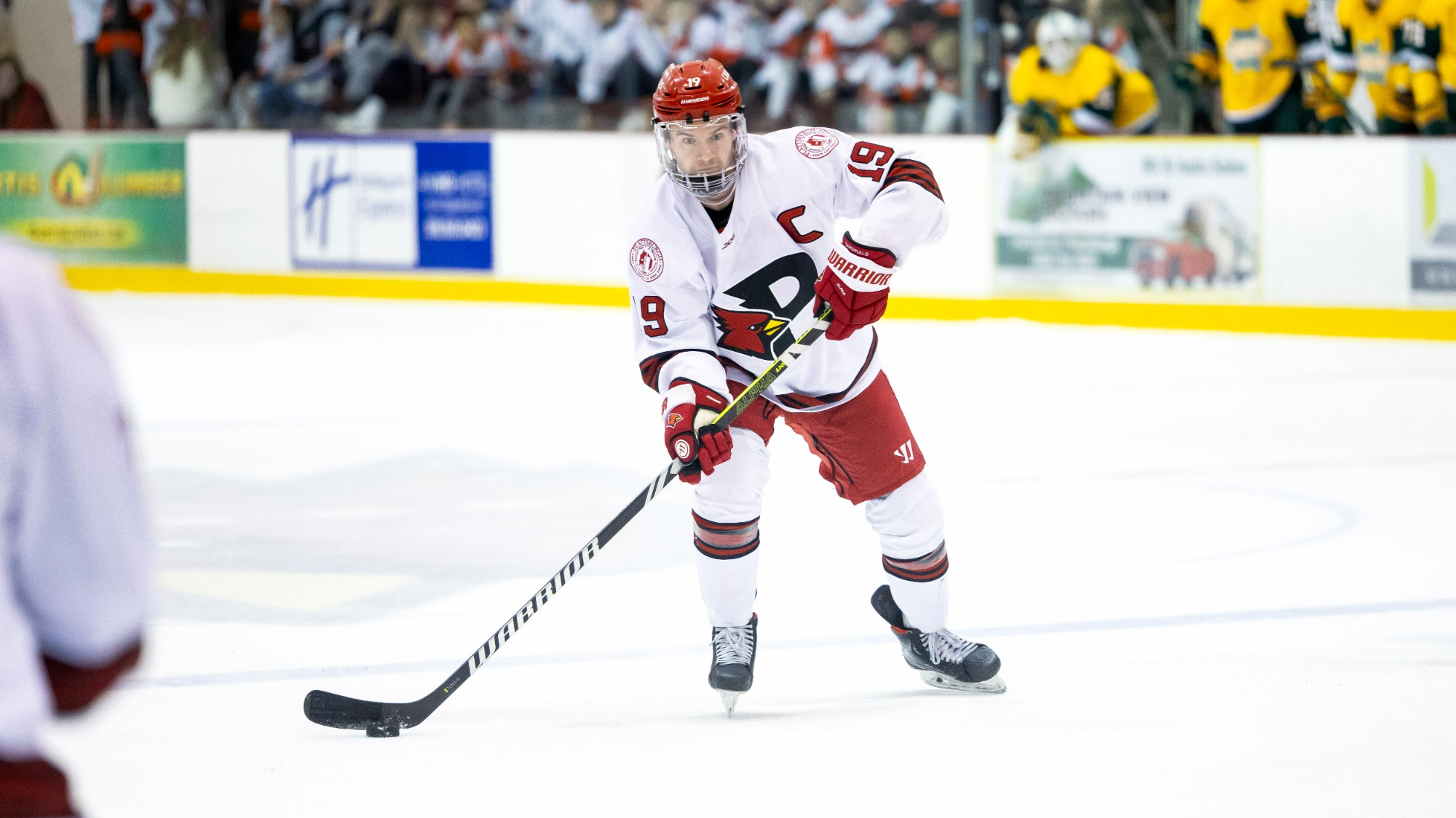 Ryan Hogg - 2023-24 - Men's Ice Hockey - Plattsburgh State Athletics