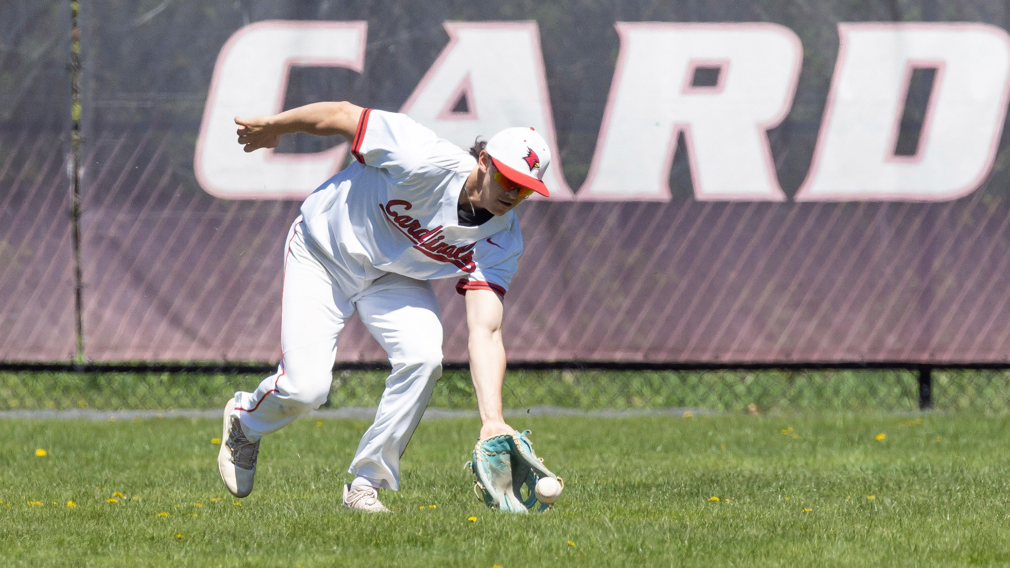 Matt Blair - 2023 - Baseball - Plattsburgh State Athletics