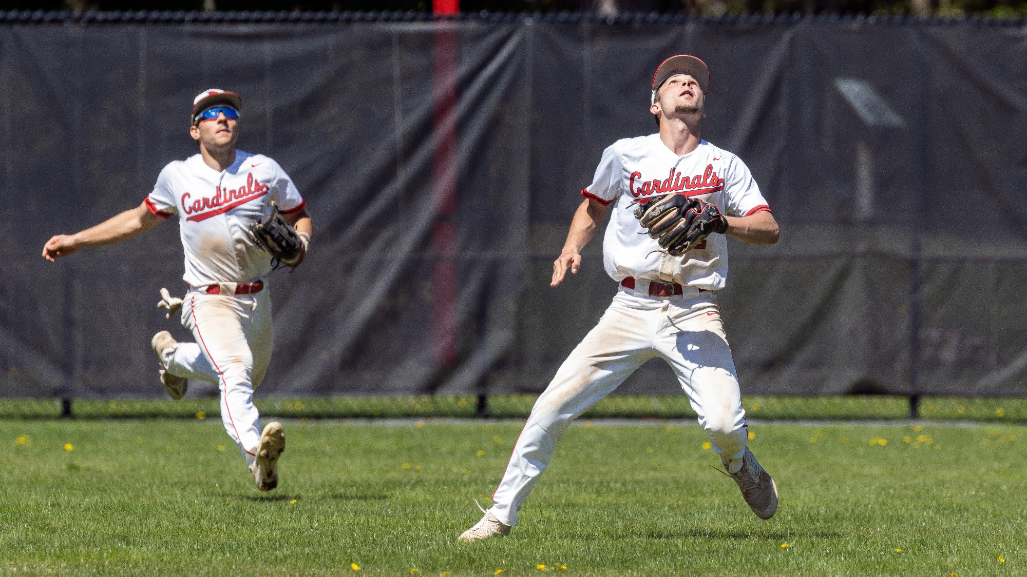 Andrew Veit - 2024 - Baseball - Plattsburgh State Athletics