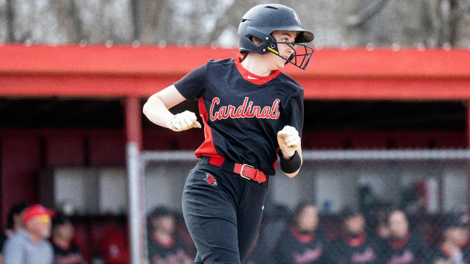 Softball Falls in SUNYAC Doubleheader Against Potsdam; Palmer Achieves ...