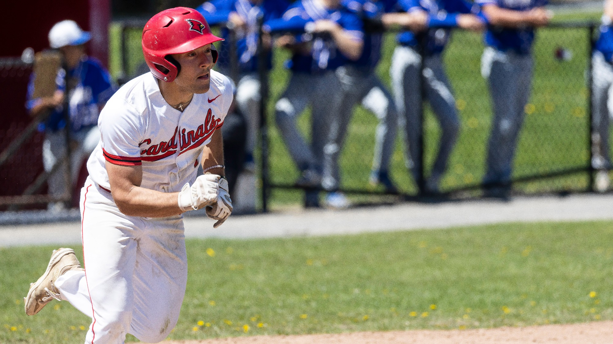 Jack Defayette - 2024 - Baseball - Plattsburgh State Athletics
