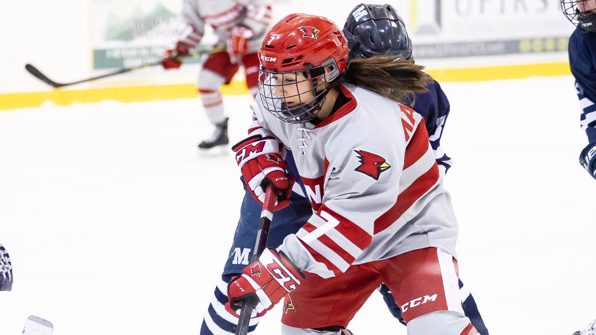 Julia Masotta - 2023-24 - Women's Ice Hockey - Plattsburgh State Athletics