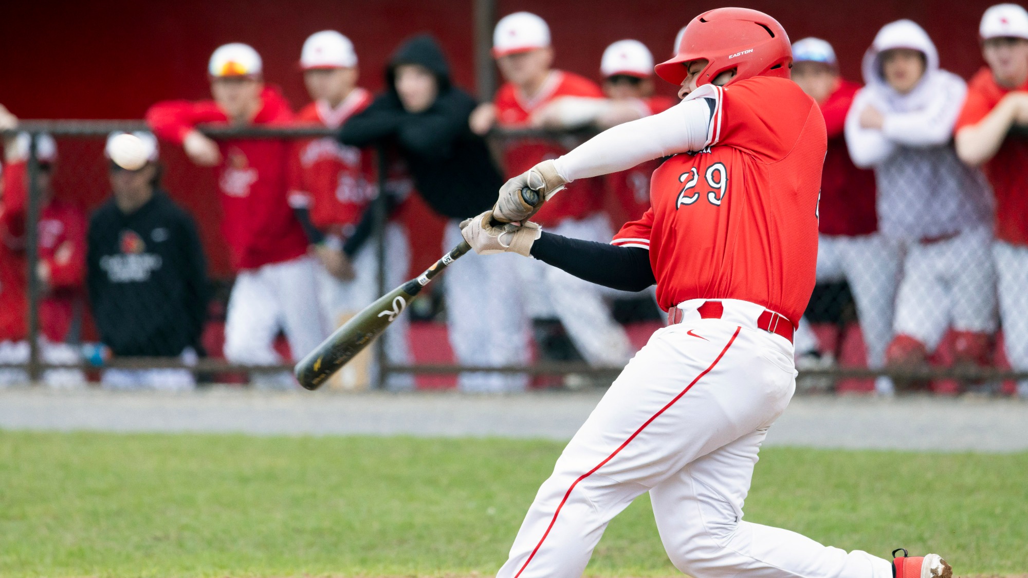 Daniel Novelli - 2024 - Baseball - Plattsburgh State Athletics