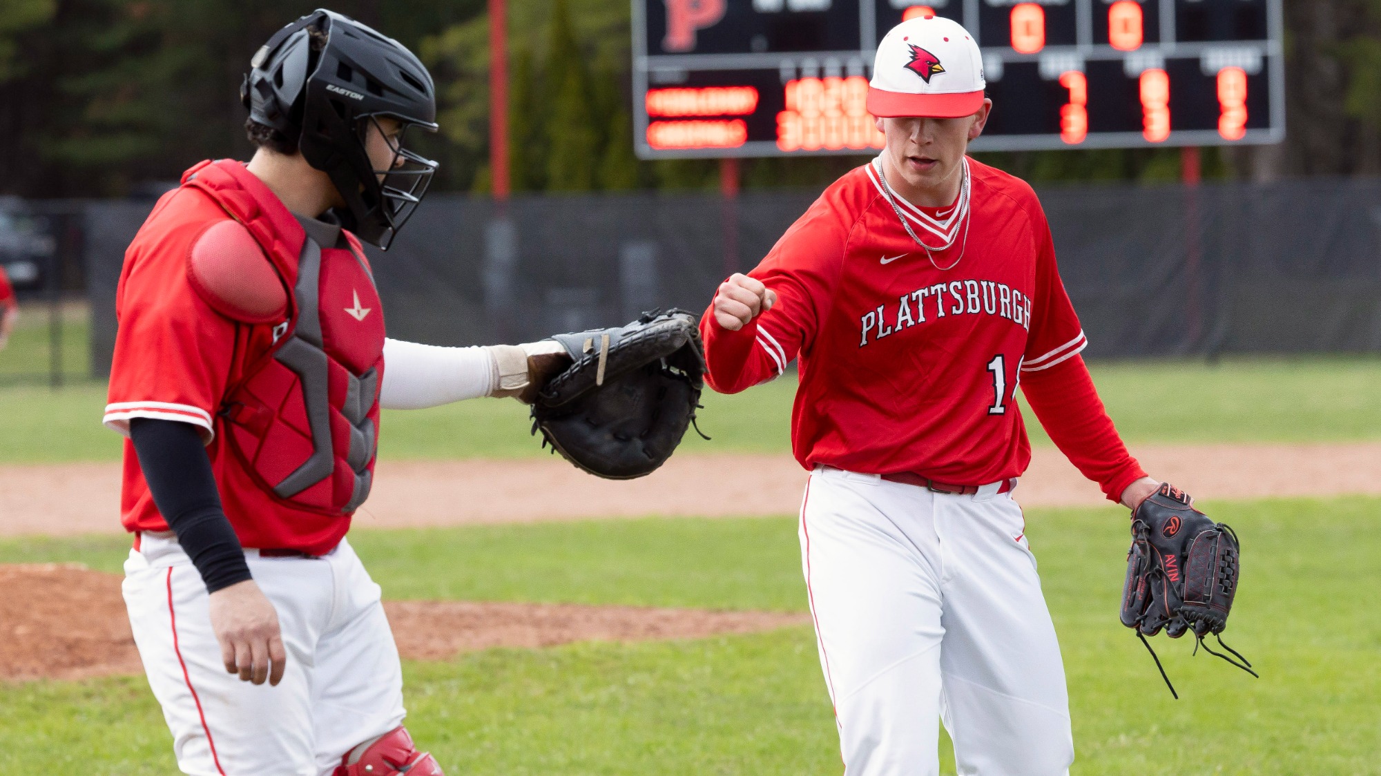 Daniel Novelli - 2024 - Baseball - Plattsburgh State Athletics