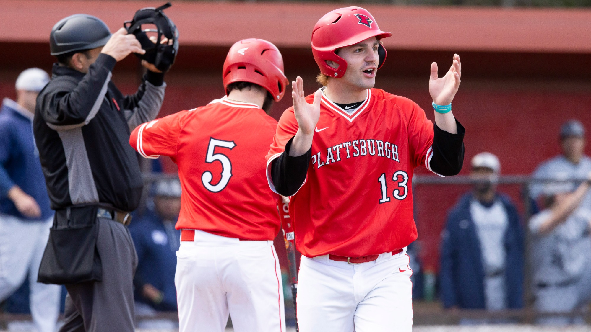 Nick Cergol - 2024 - Baseball - Plattsburgh State Athletics