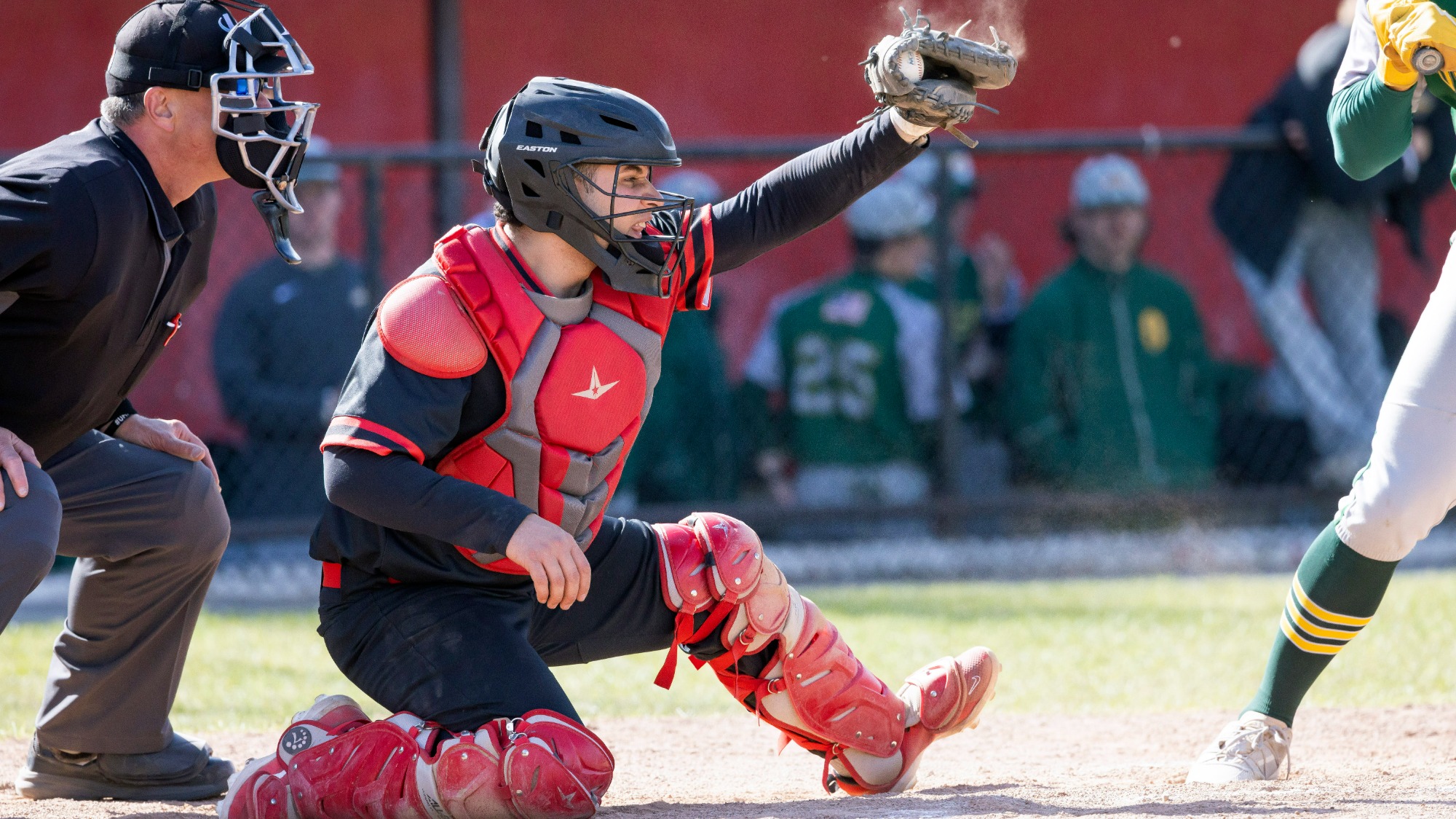 Daniel Novelli - 2024 - Baseball - Plattsburgh State Athletics