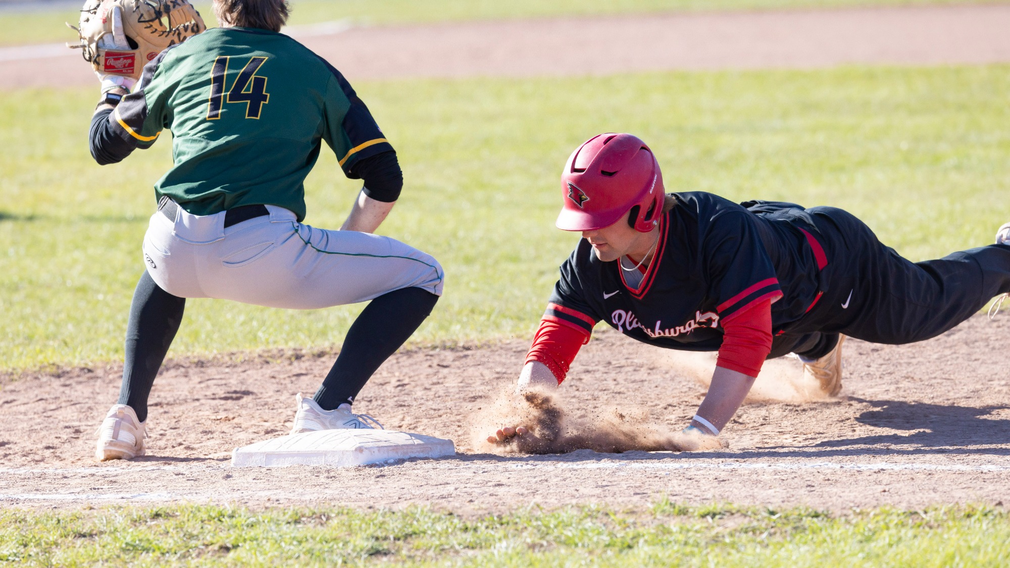 Nick Cergol - 2024 - Baseball - Plattsburgh State Athletics